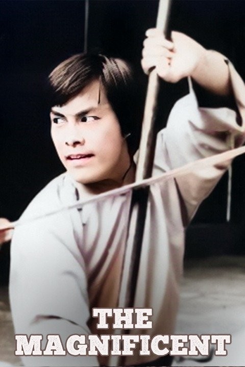 The Magnificent Pictures | Rotten Tomatoes