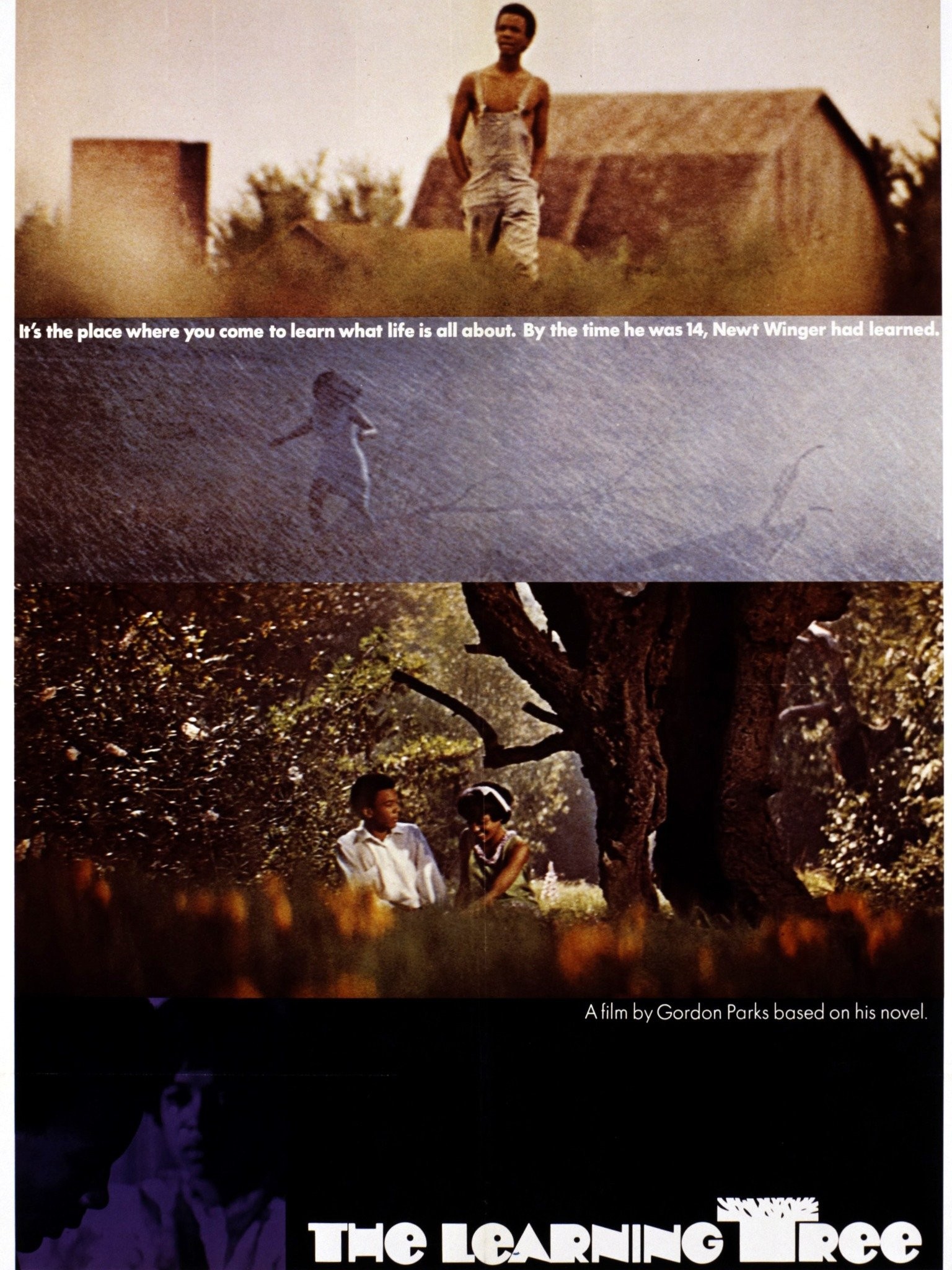 The Learning Tree Pictures | Rotten Tomatoes