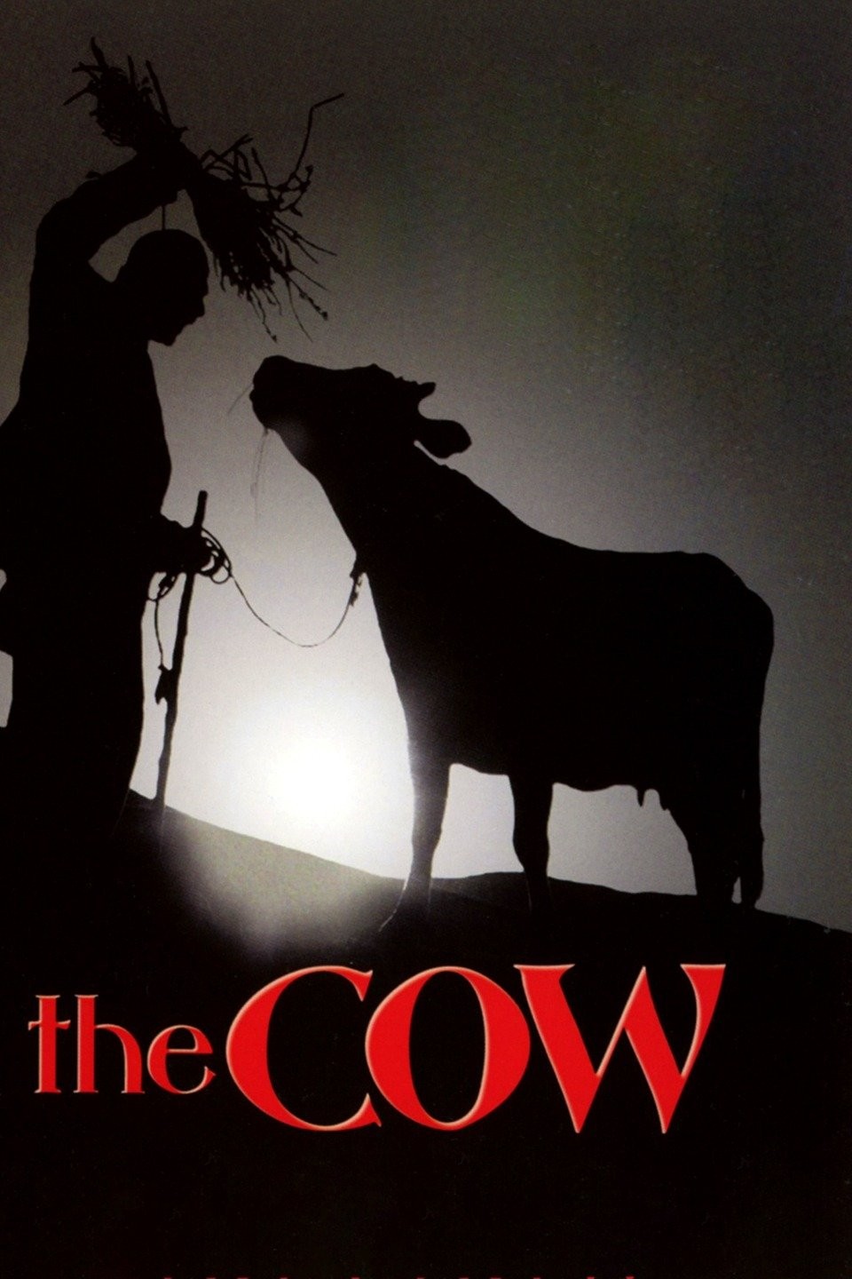 The Cow | Rotten Tomatoes