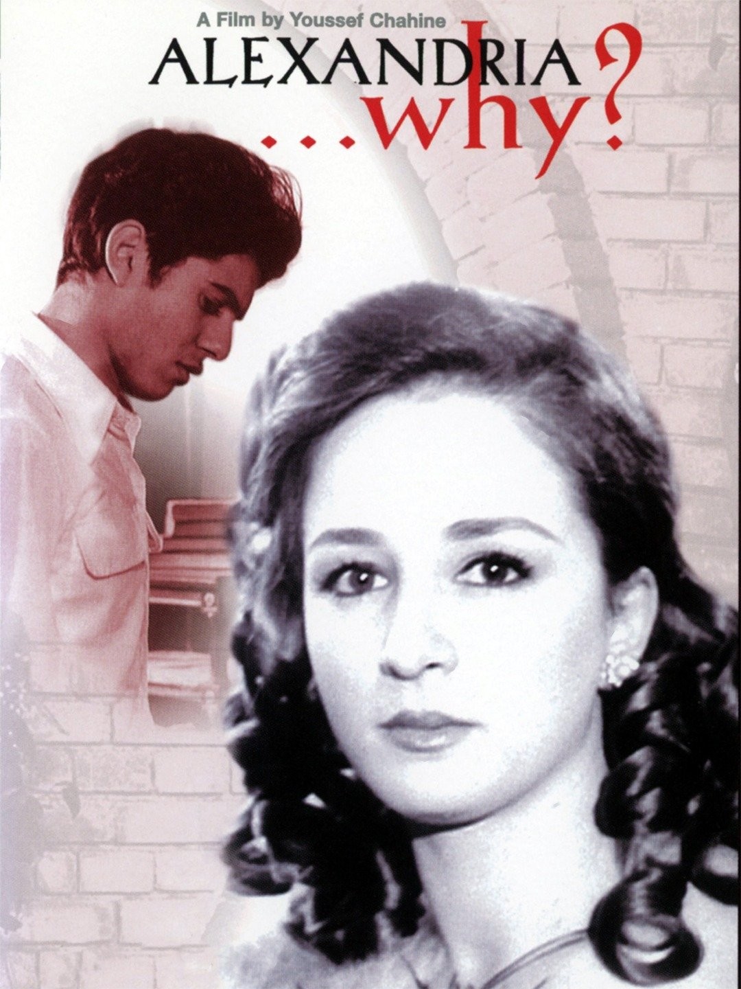 Alexandria... Why? Pictures | Rotten Tomatoes