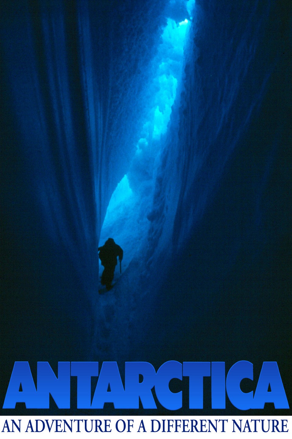 Antarctica | Rotten Tomatoes