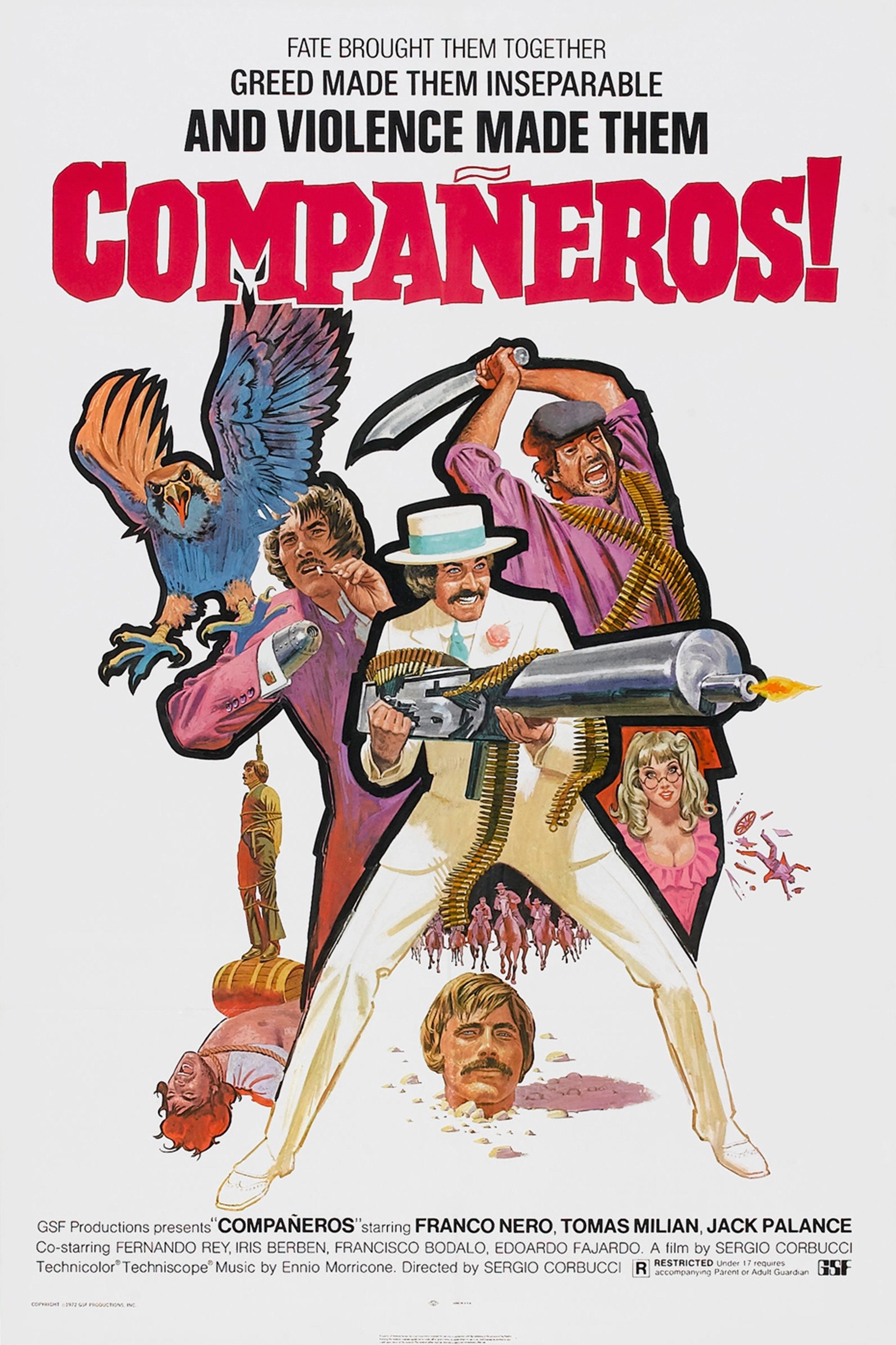 Companeros | Rotten Tomatoes