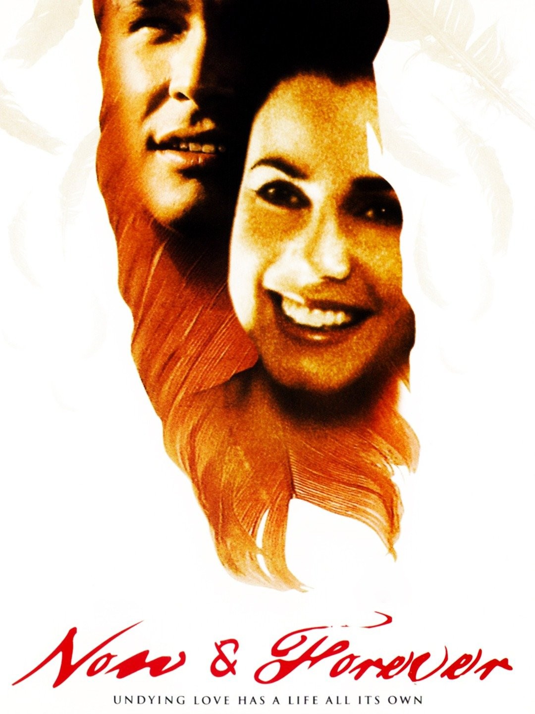 Now & Forever Pictures | Rotten Tomatoes