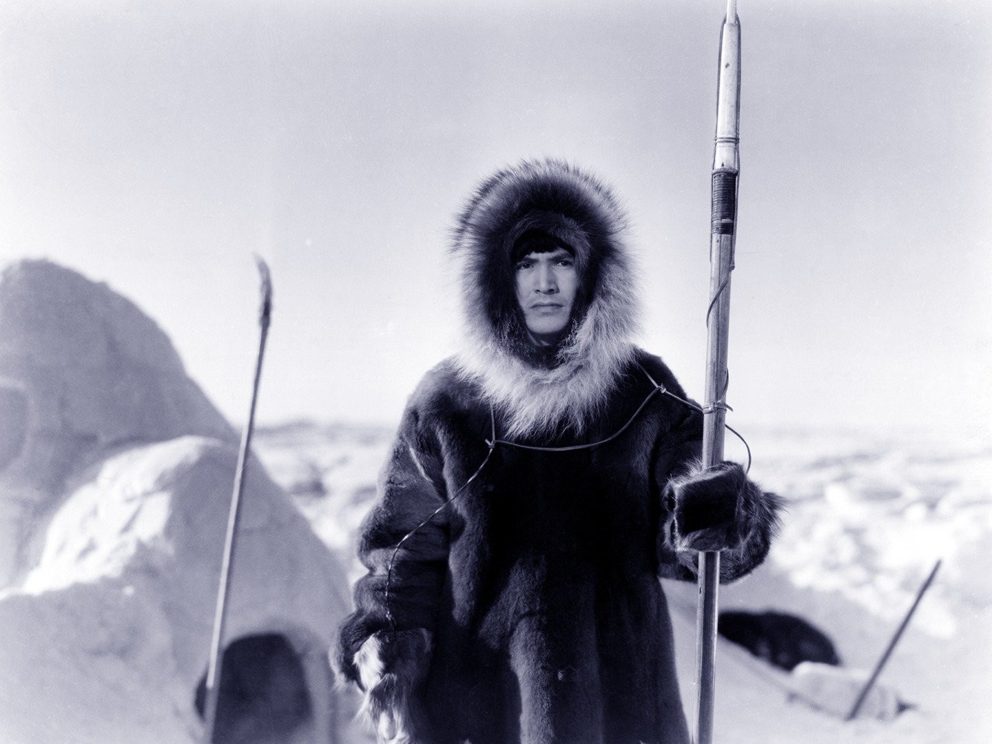 What movie or TV show did you LAST watch? | Page 1010 | AVS Forum