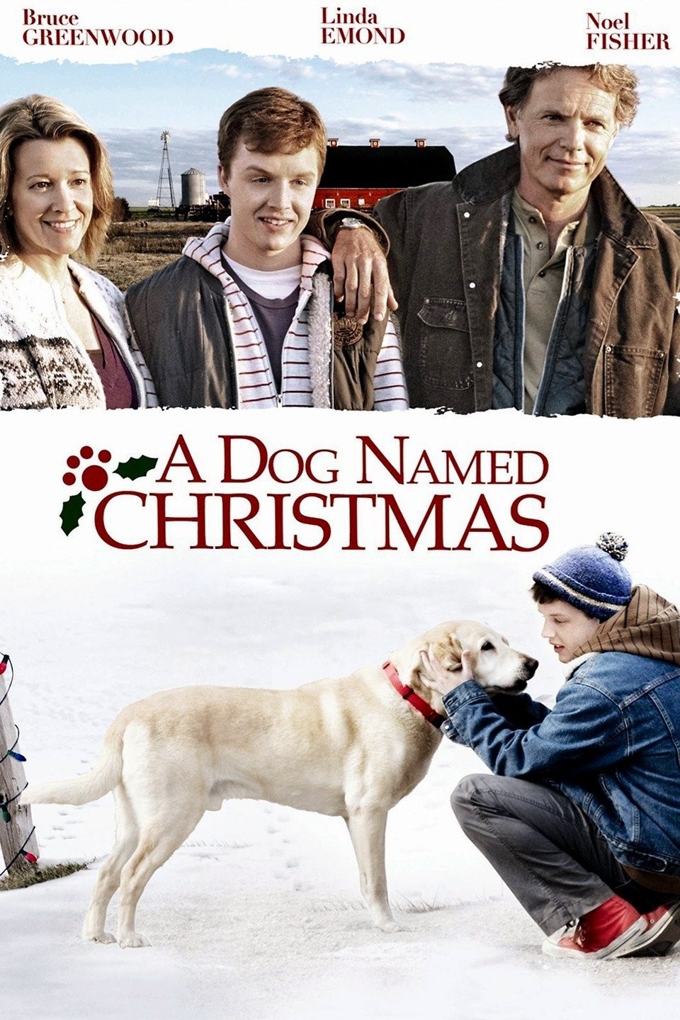 A Dog Named Christmas Rotten Tomatoes A Dog Named Christmas Rotten Tomatoes