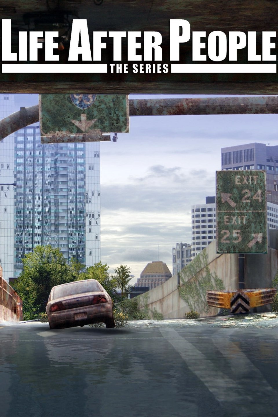 Life After People Season 1 | Rotten Tomatoes