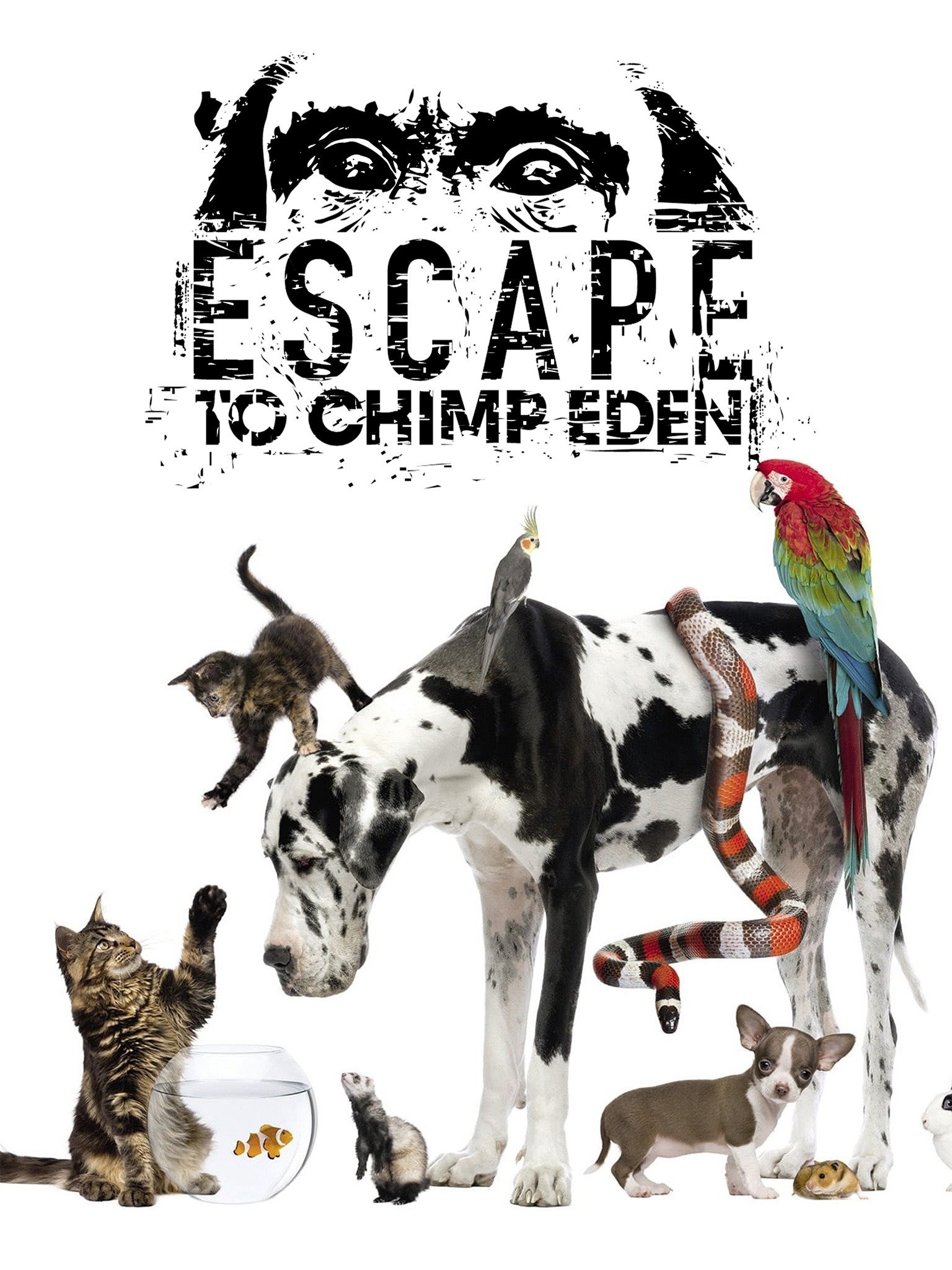 Escape to Chimp Eden Season 1 | Rotten Tomatoes