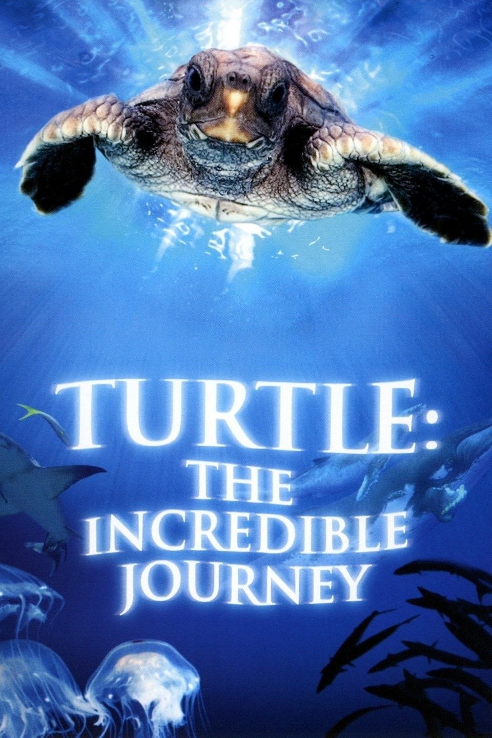 Turtle: The Incredible Journey | Rotten Tomatoes