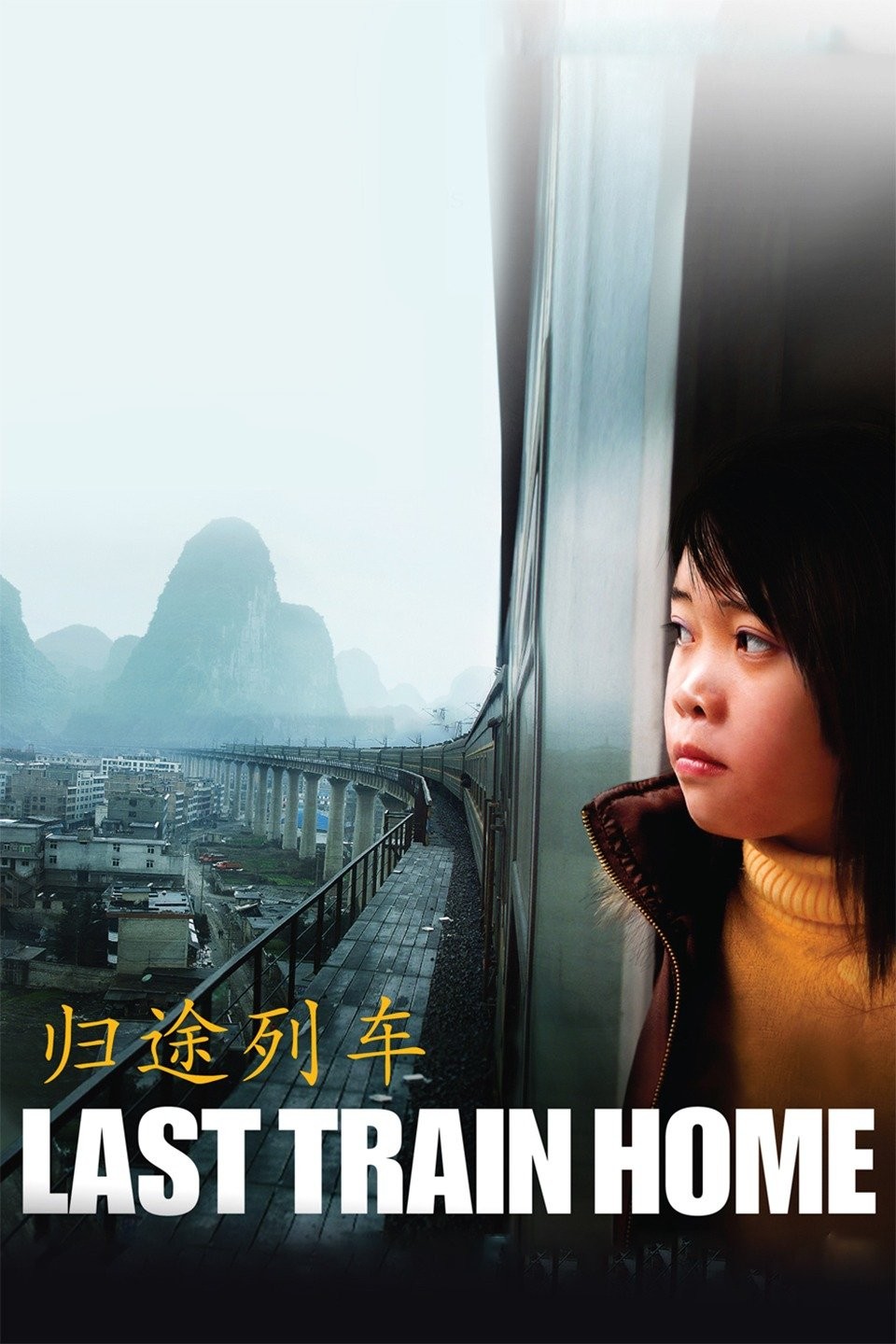 Last Train Home | Rotten Tomatoes