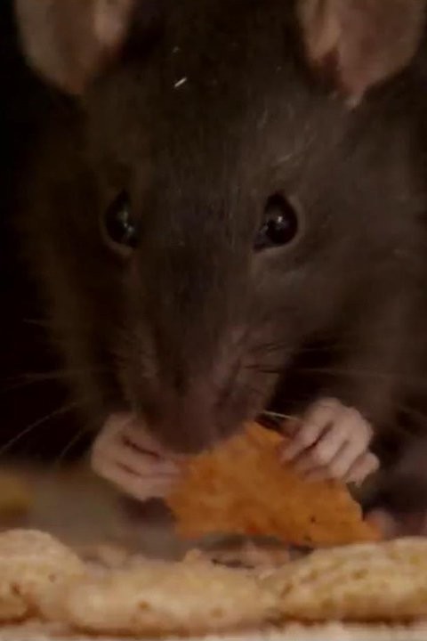 Crypt of Civilization Pictures | Rotten Tomatoes