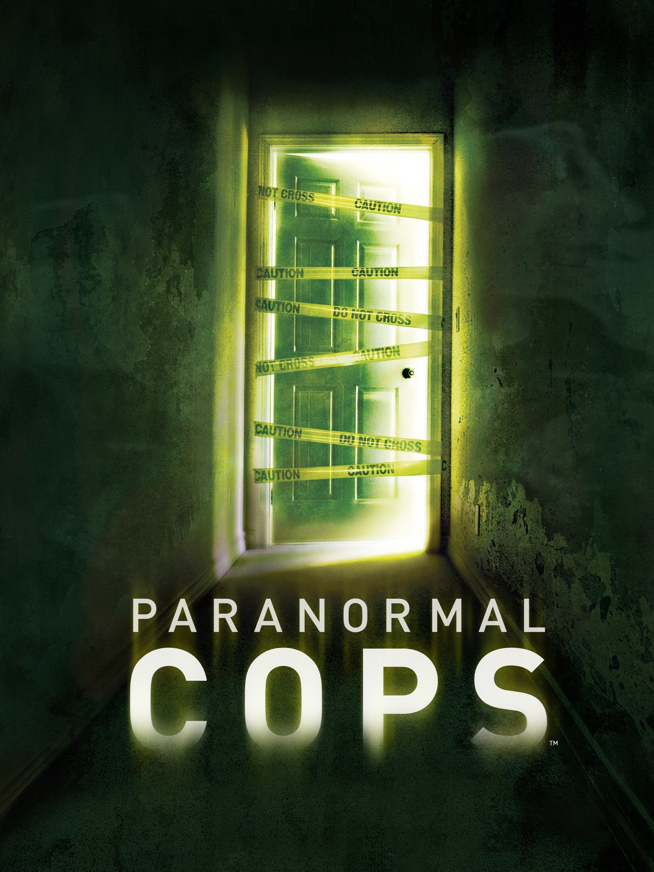 Paranormal Cops | Rotten Tomatoes