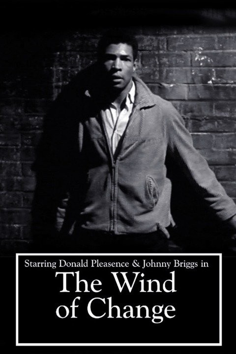 The Wind of Change Pictures | Rotten Tomatoes