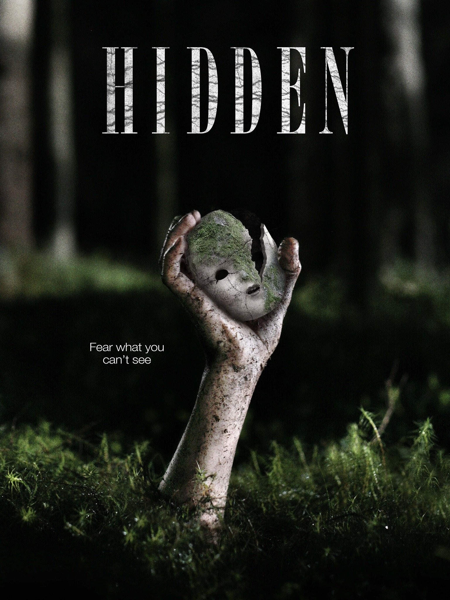 Hidden Pictures | Rotten Tomatoes