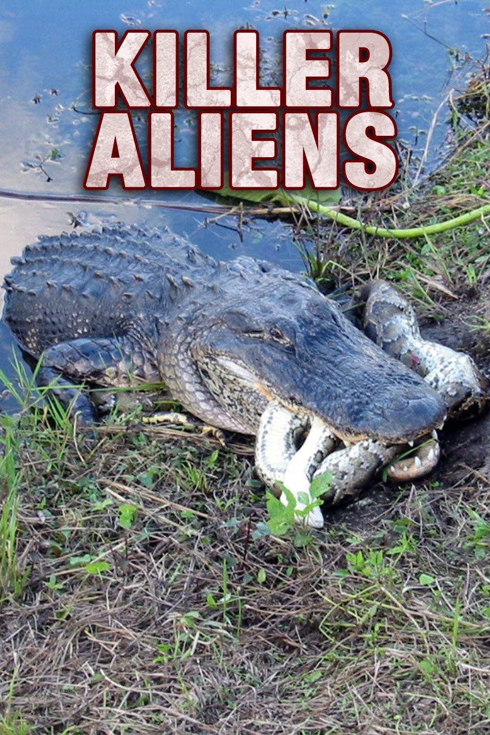 Killer Aliens Pictures | Rotten Tomatoes