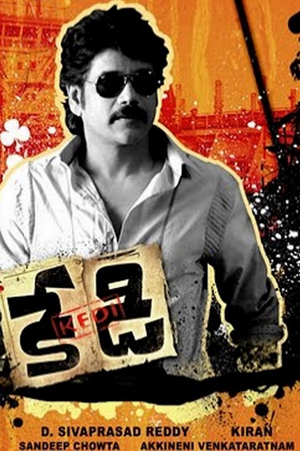 Kedi | Rotten Tomatoes