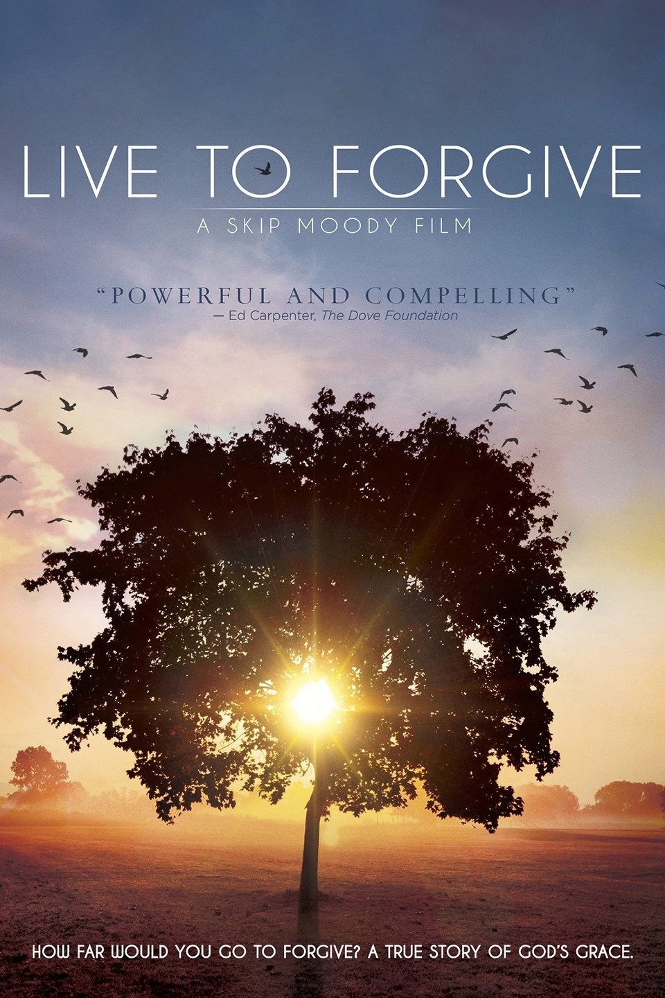 Live to Forgive Pictures | Rotten Tomatoes