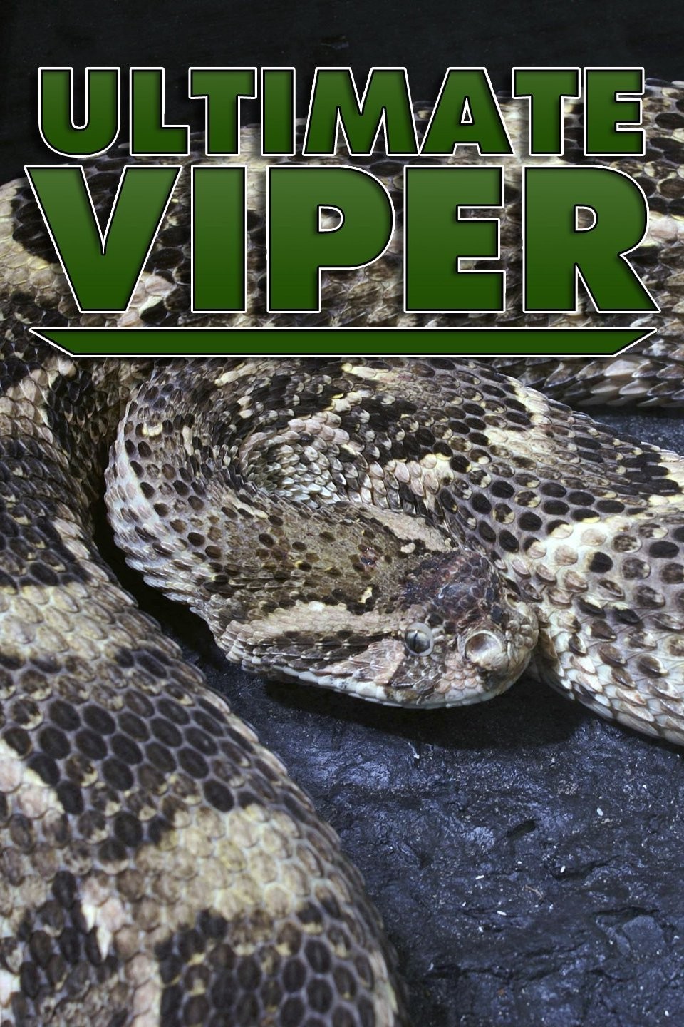 Ultimate Viper | Rotten Tomatoes