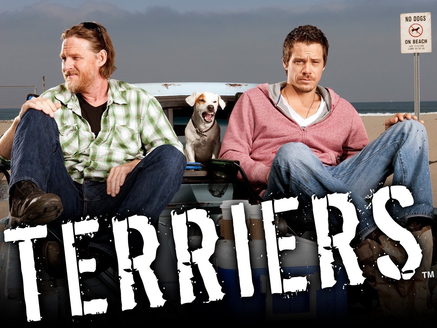 Terriers Tv Series