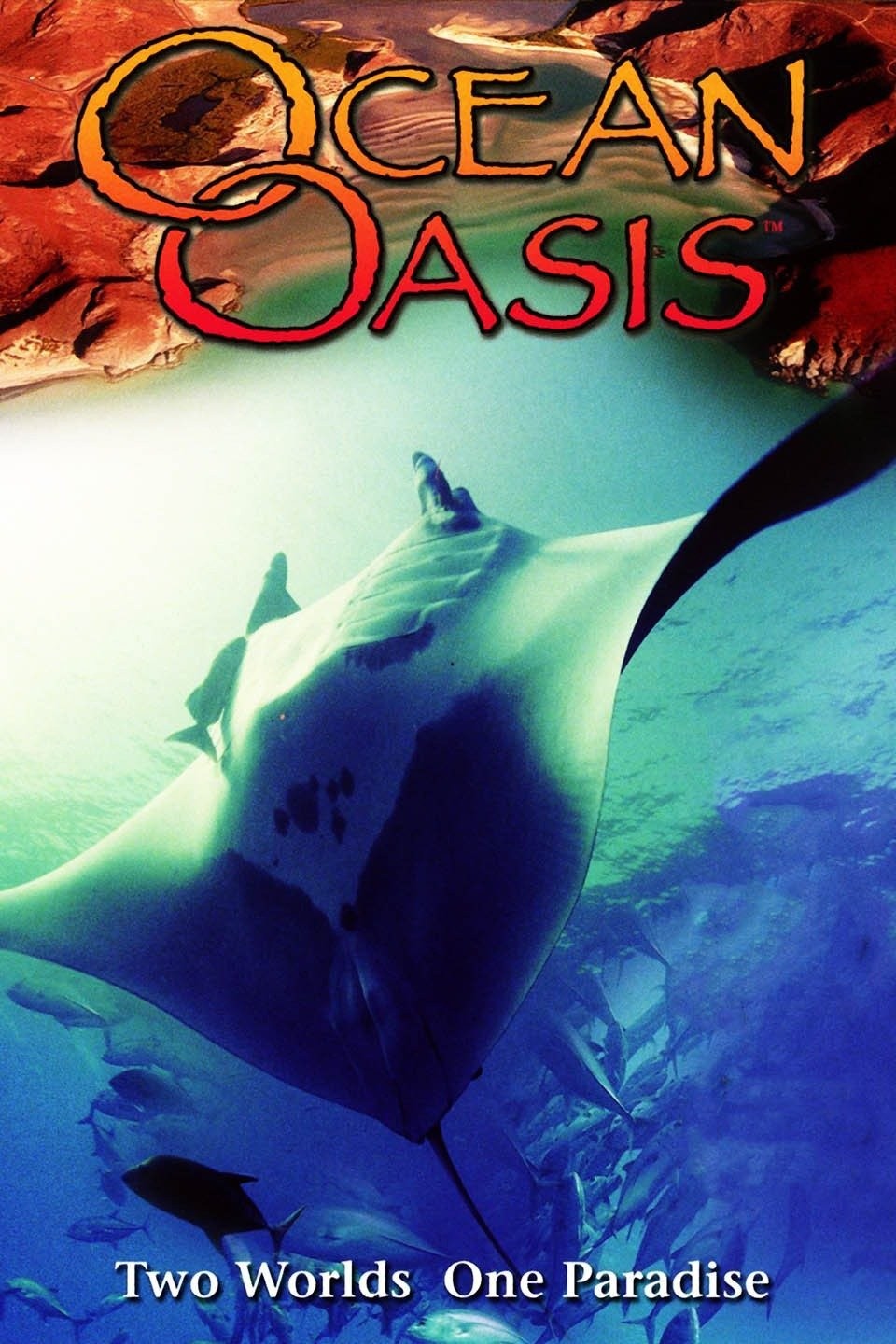 Ocean Oasis Pictures | Rotten Tomatoes