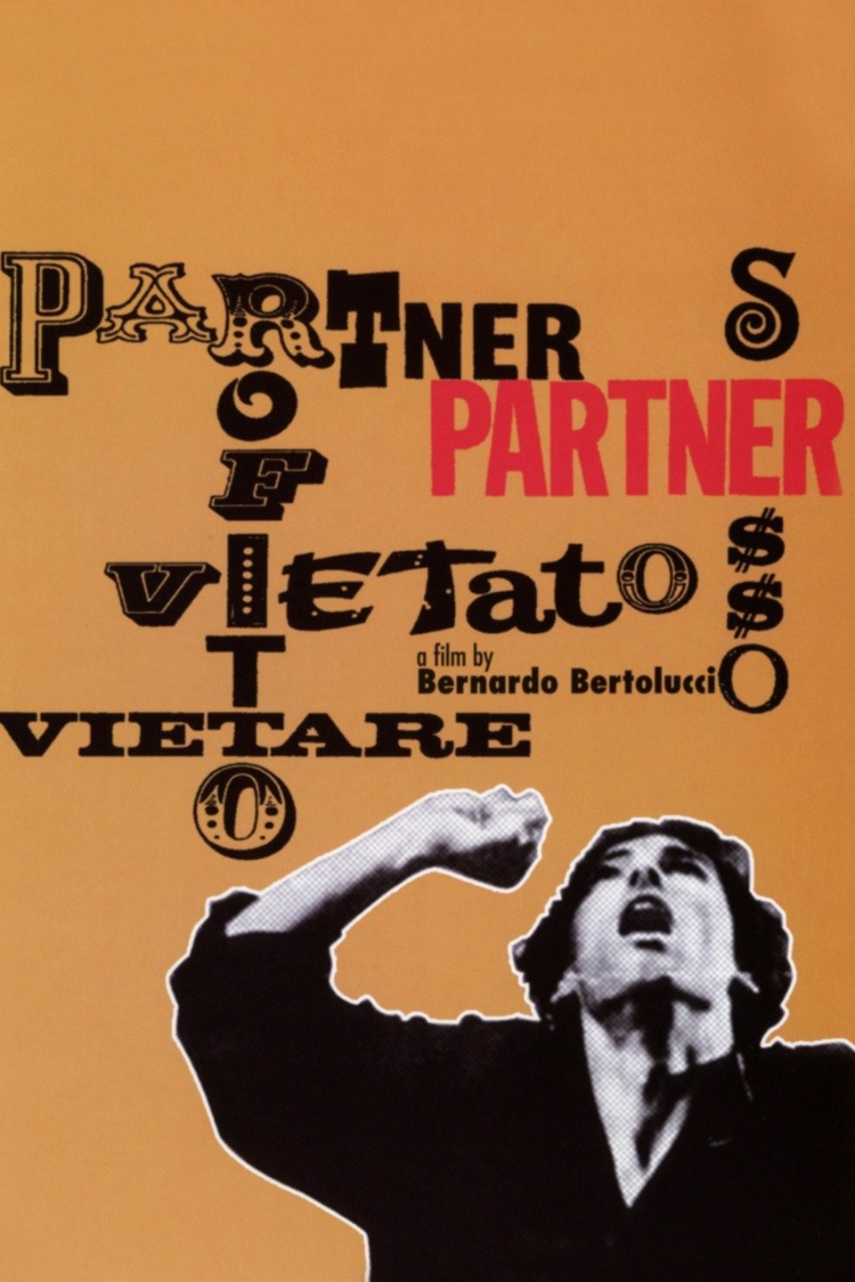 Partner | Rotten Tomatoes