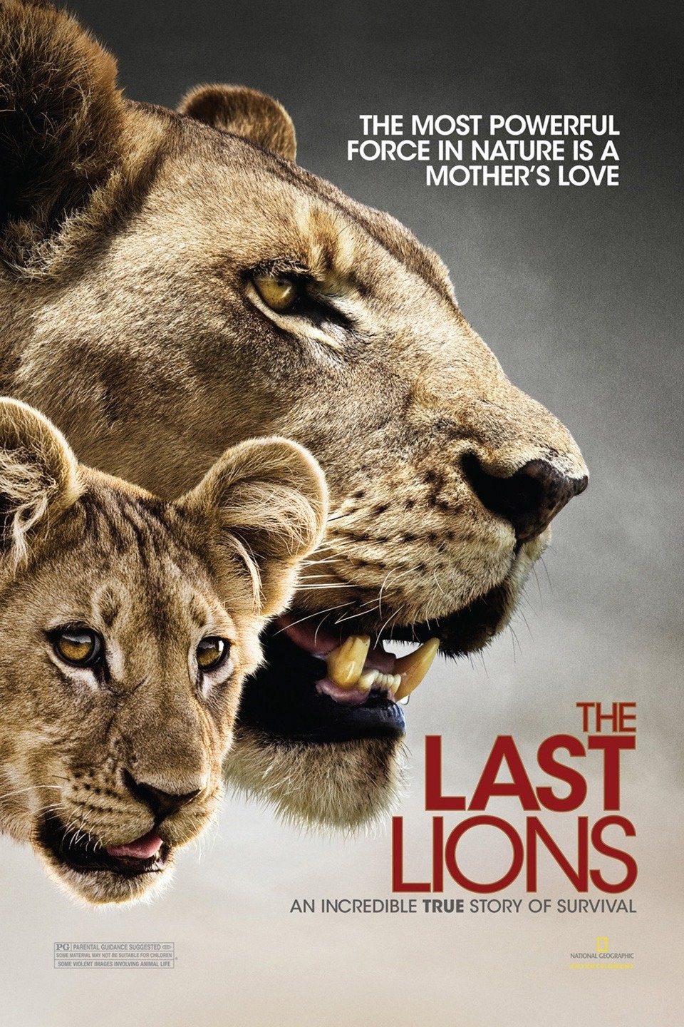 The Last Lions | Rotten Tomatoes
