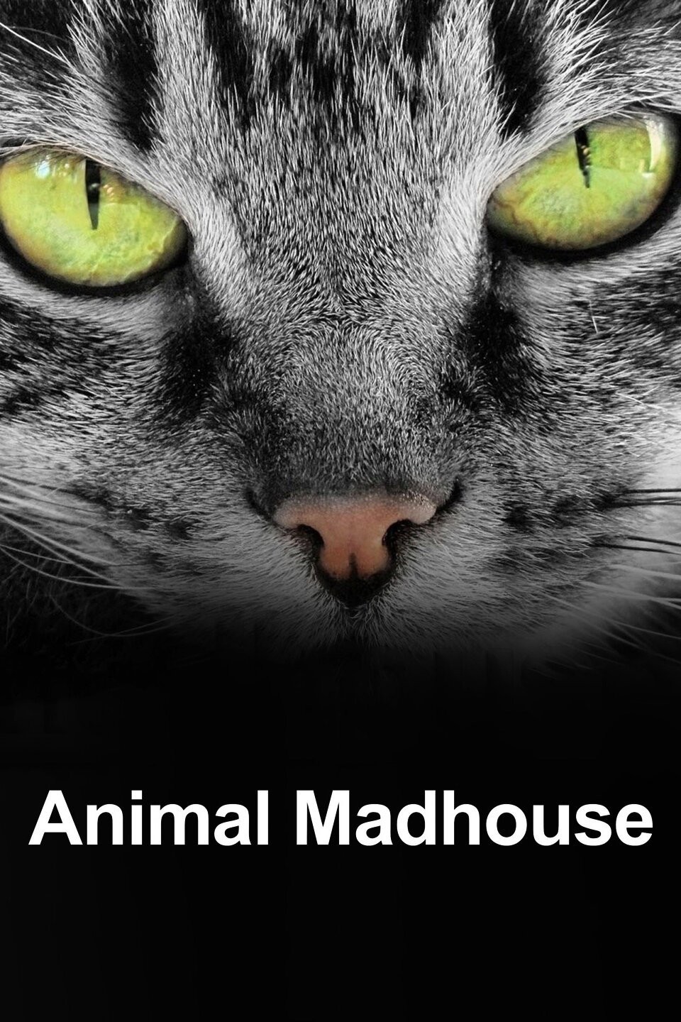 Animal Madhouse - Rotten Tomatoes
