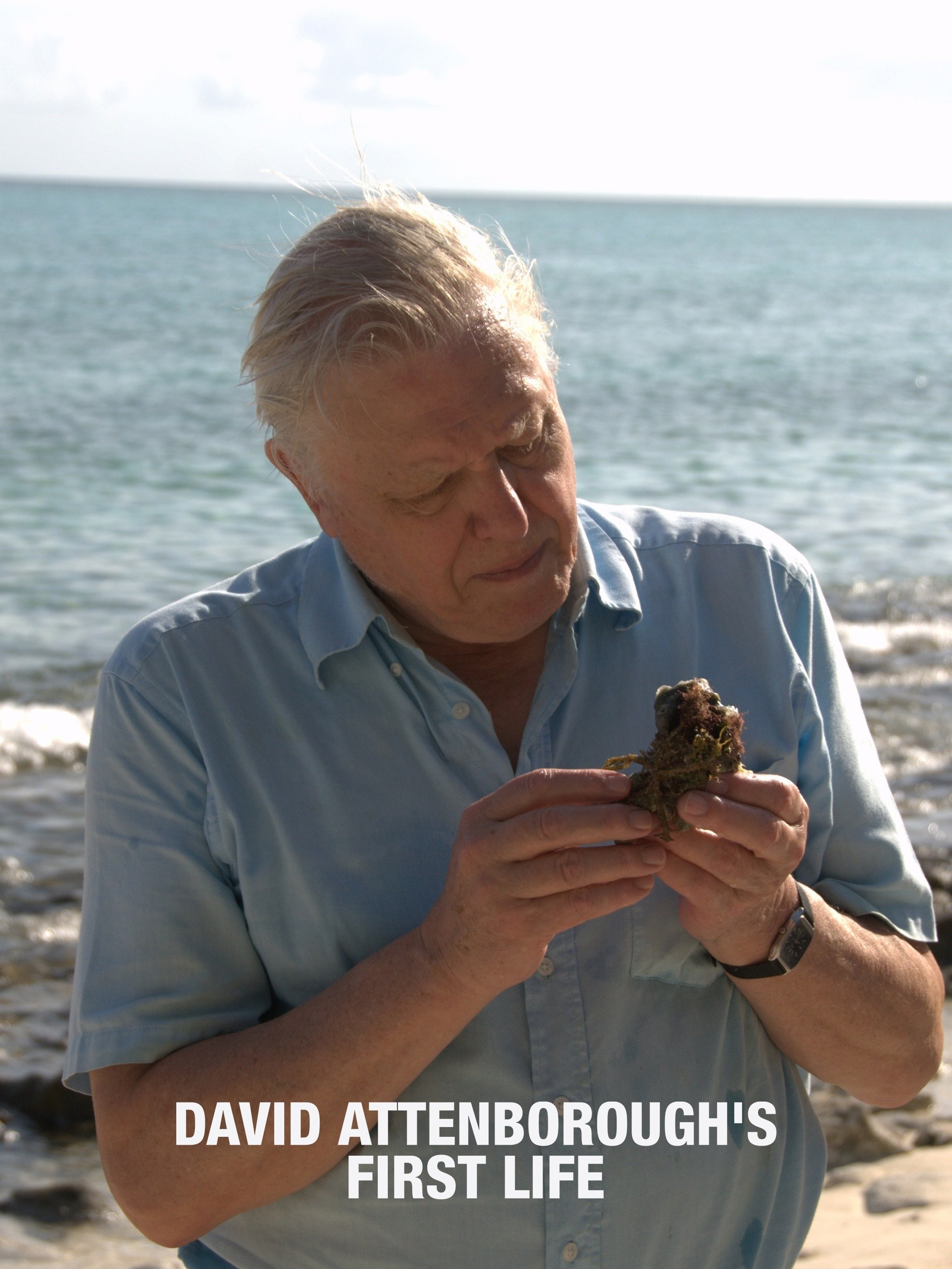 David Attenborough's First Life | Rotten Tomatoes
