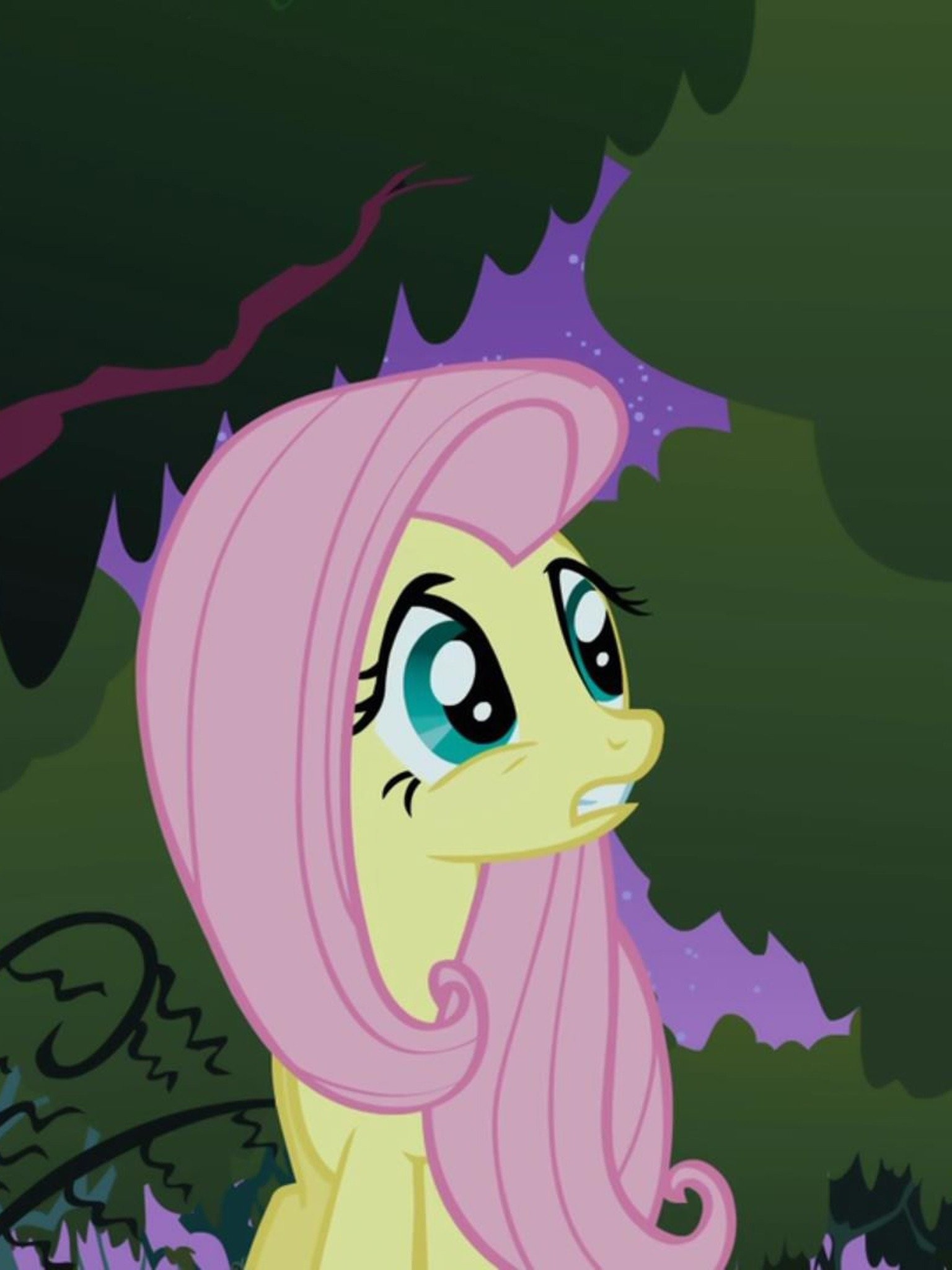 Andrea Libman Fluttershy
