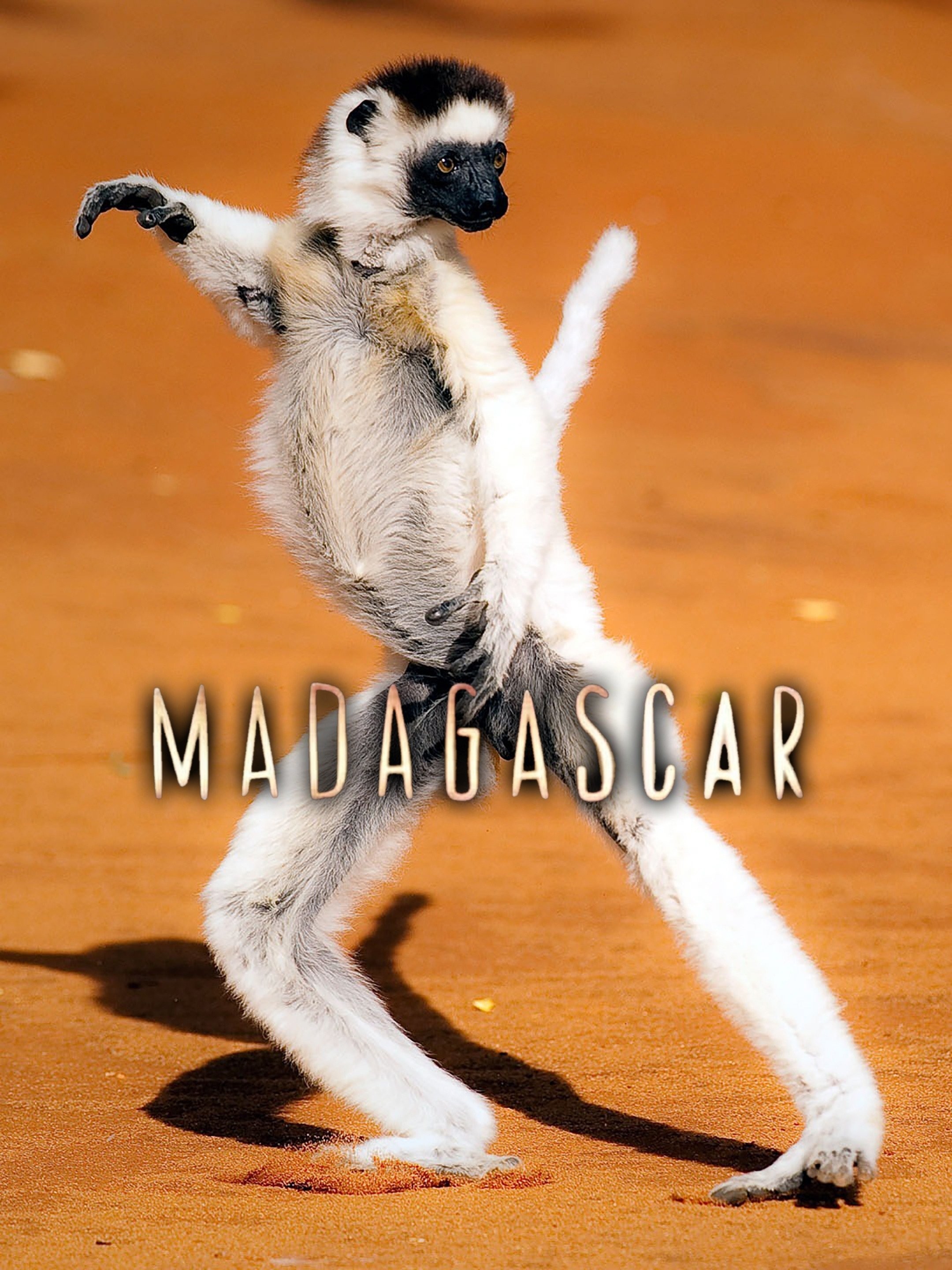 Madagascar | Rotten Tomatoes