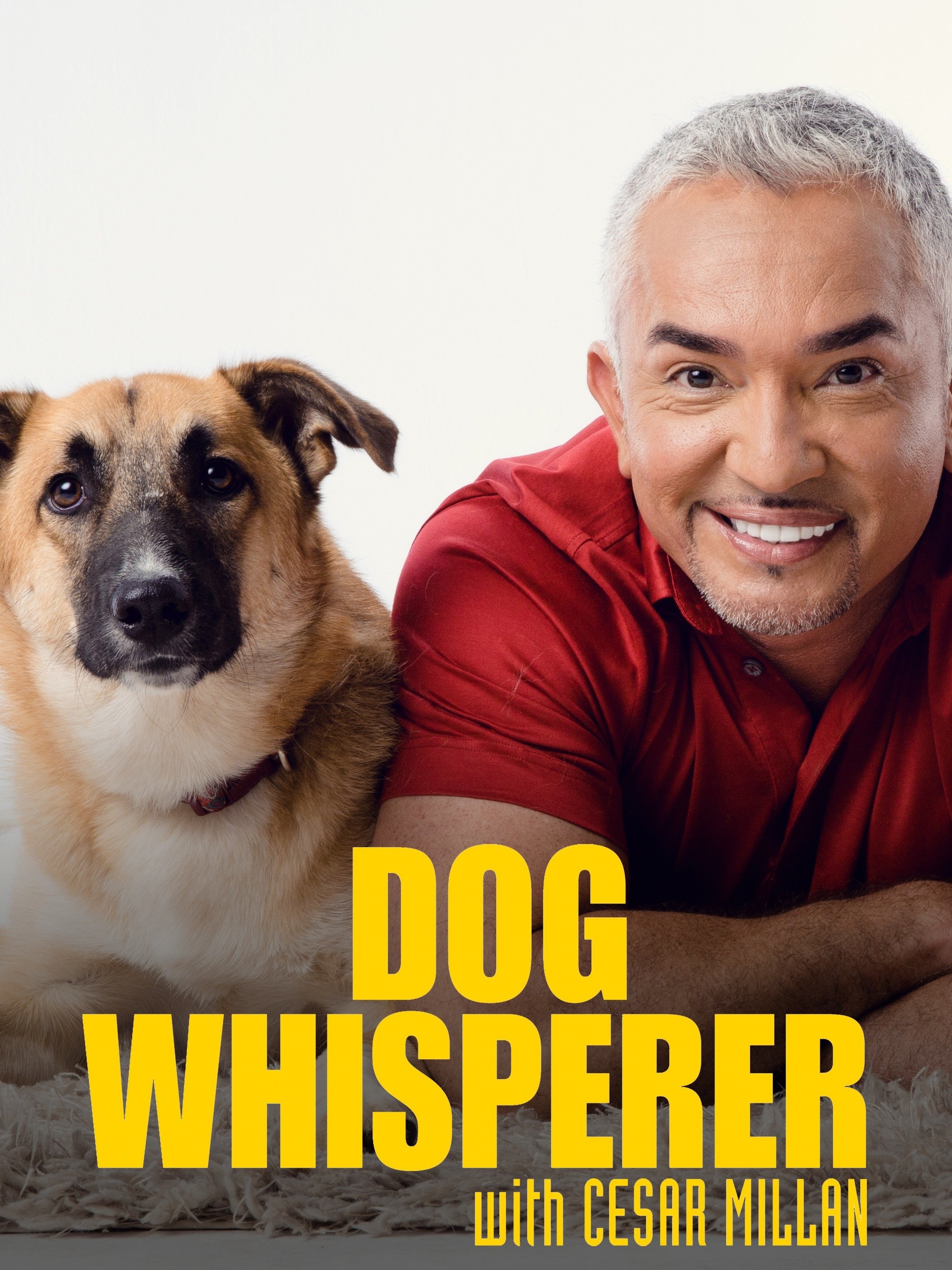 Dog Whisperer Season 2 | Rotten Tomatoes