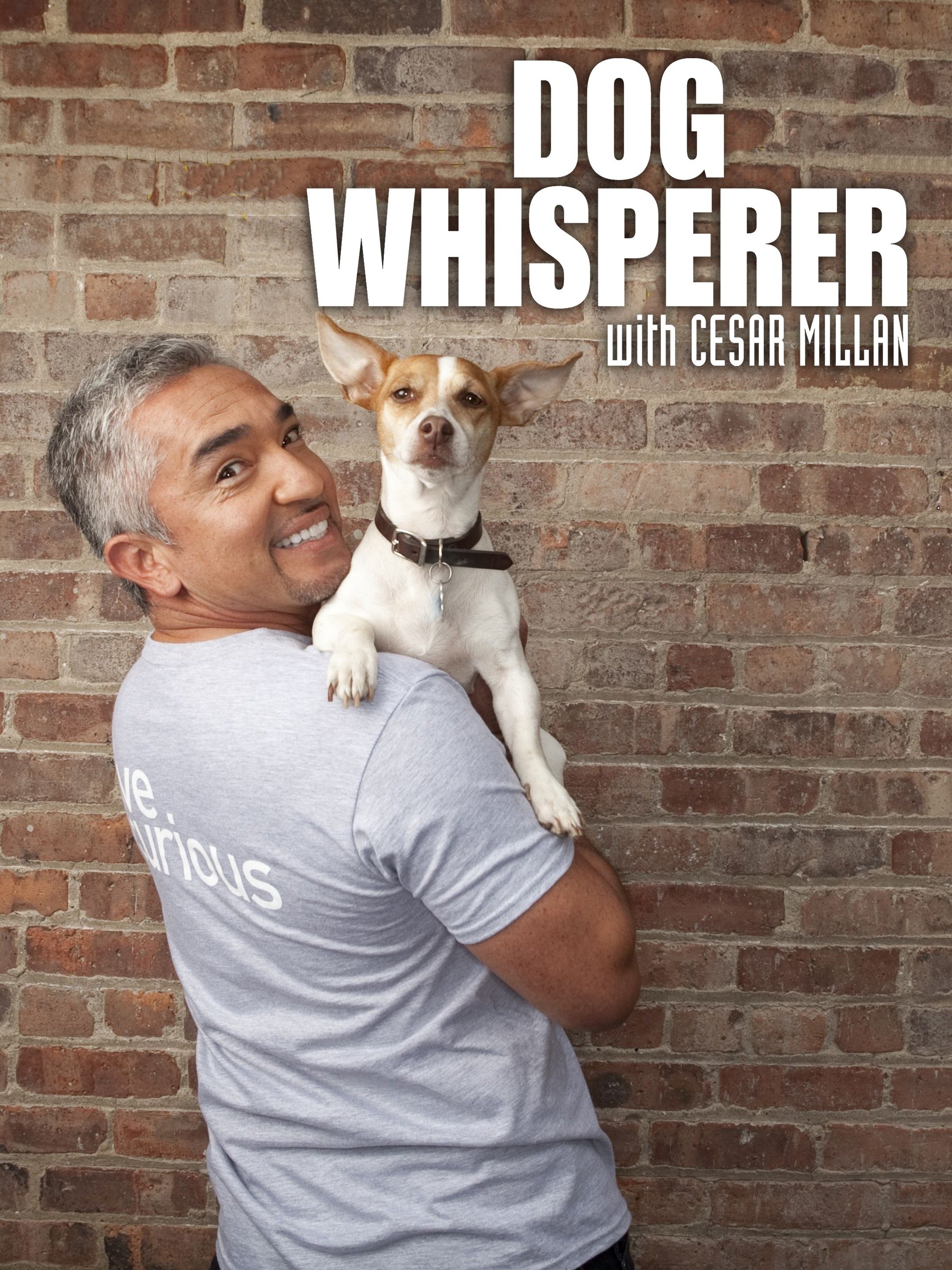 Dog Whisperer Season 7 | Rotten Tomatoes