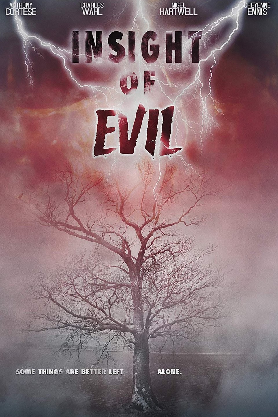 Insight of Evil | Rotten Tomatoes