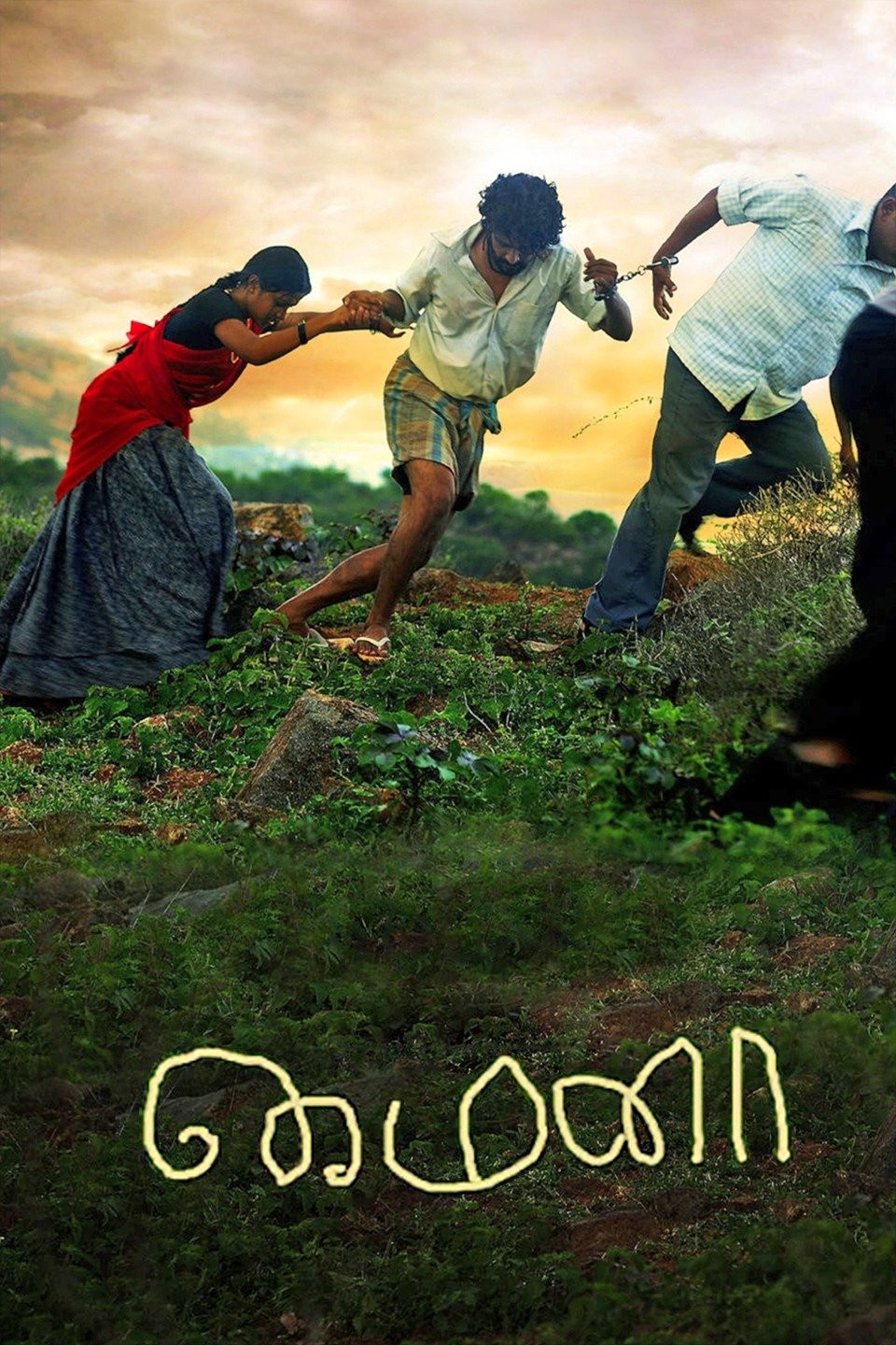 Mynaa Pictures | Rotten Tomatoes