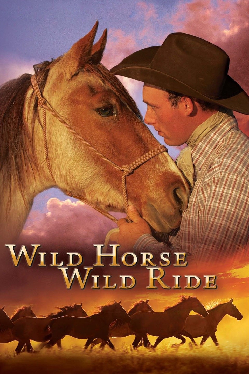 Wild Horse, Wild Ride | Rotten Tomatoes