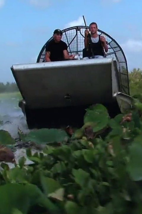 It's Personal Pictures | Rotten Tomatoes