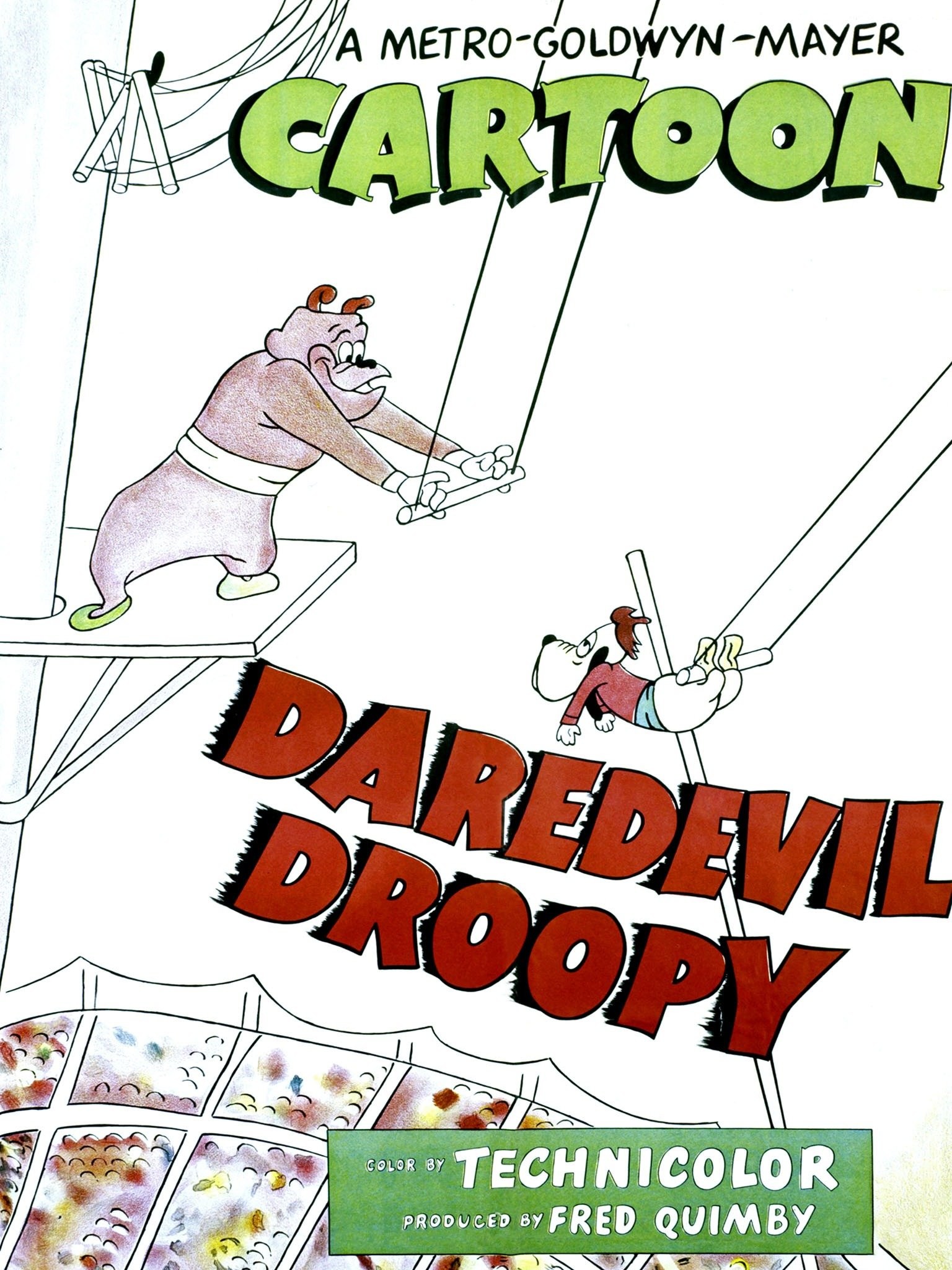 Daredevil Droopy Pictures | Rotten Tomatoes