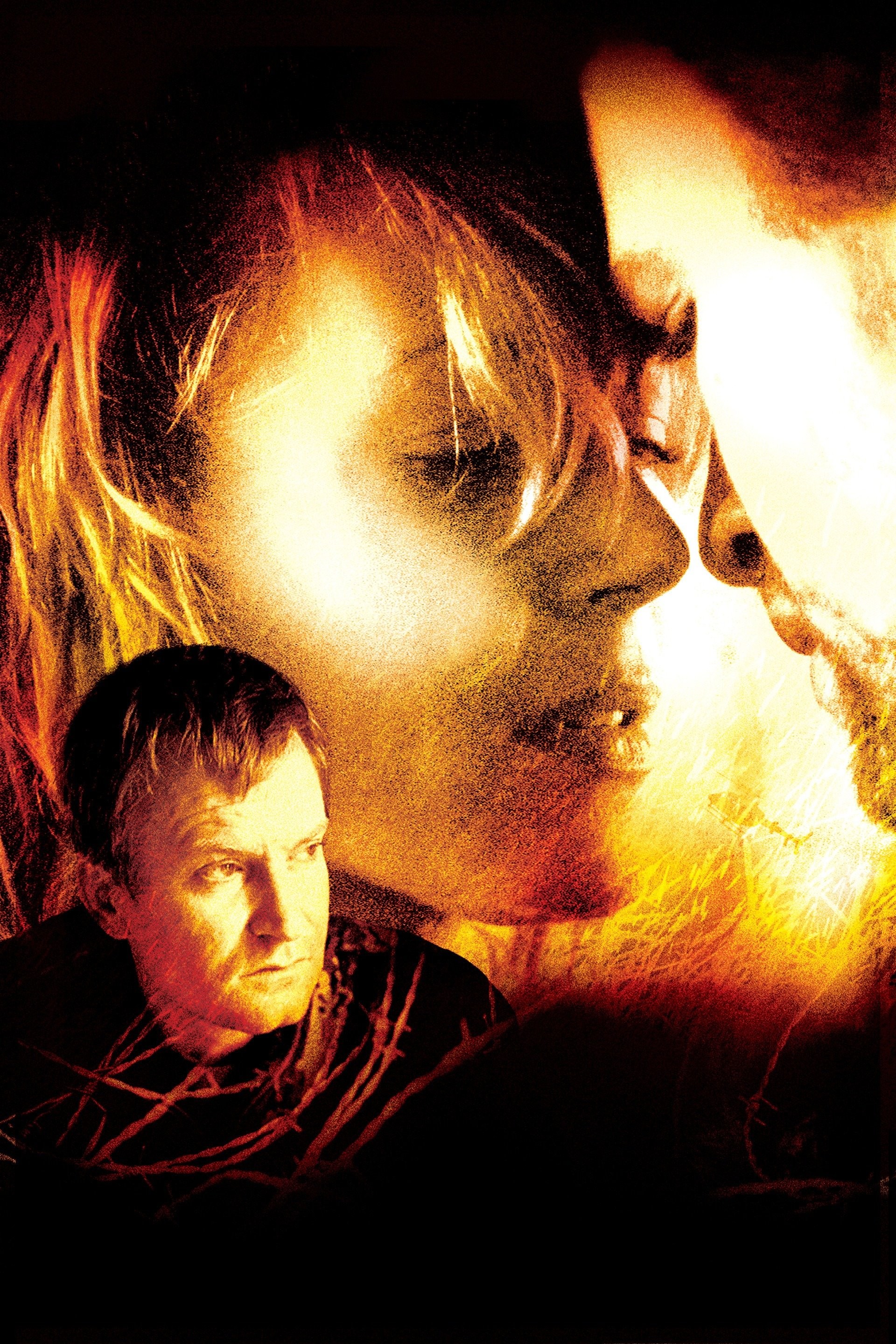 Brothers | Rotten Tomatoes