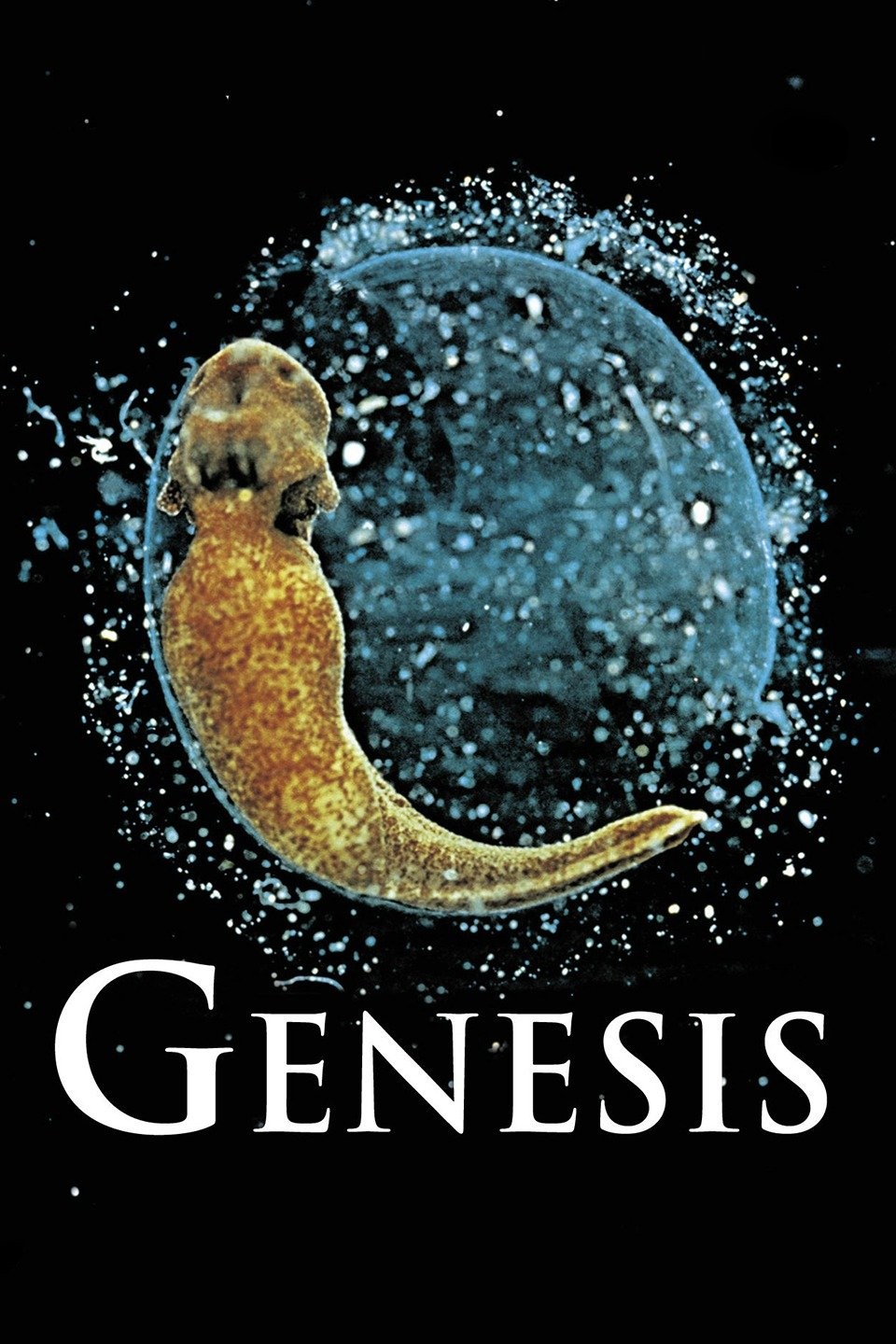 Genesis | Rotten Tomatoes
