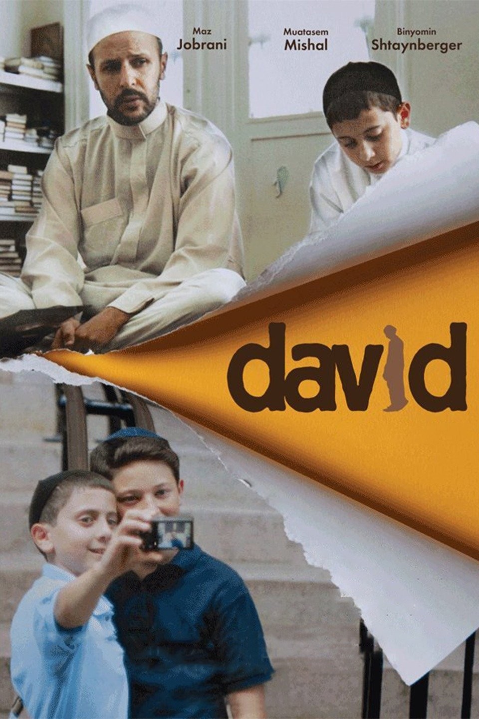 David | Rotten Tomatoes