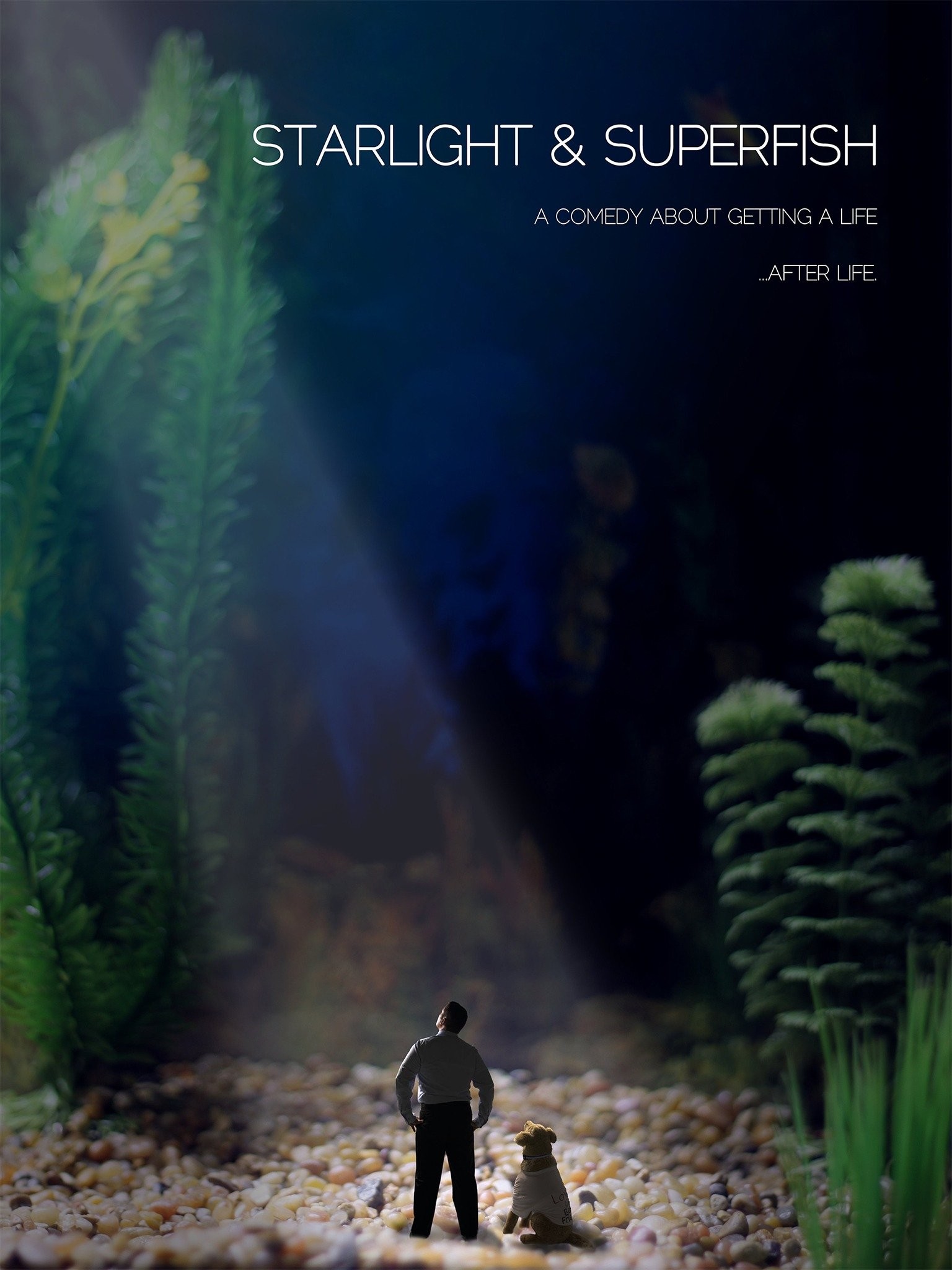 Starlight & Superfish Pictures | Rotten Tomatoes