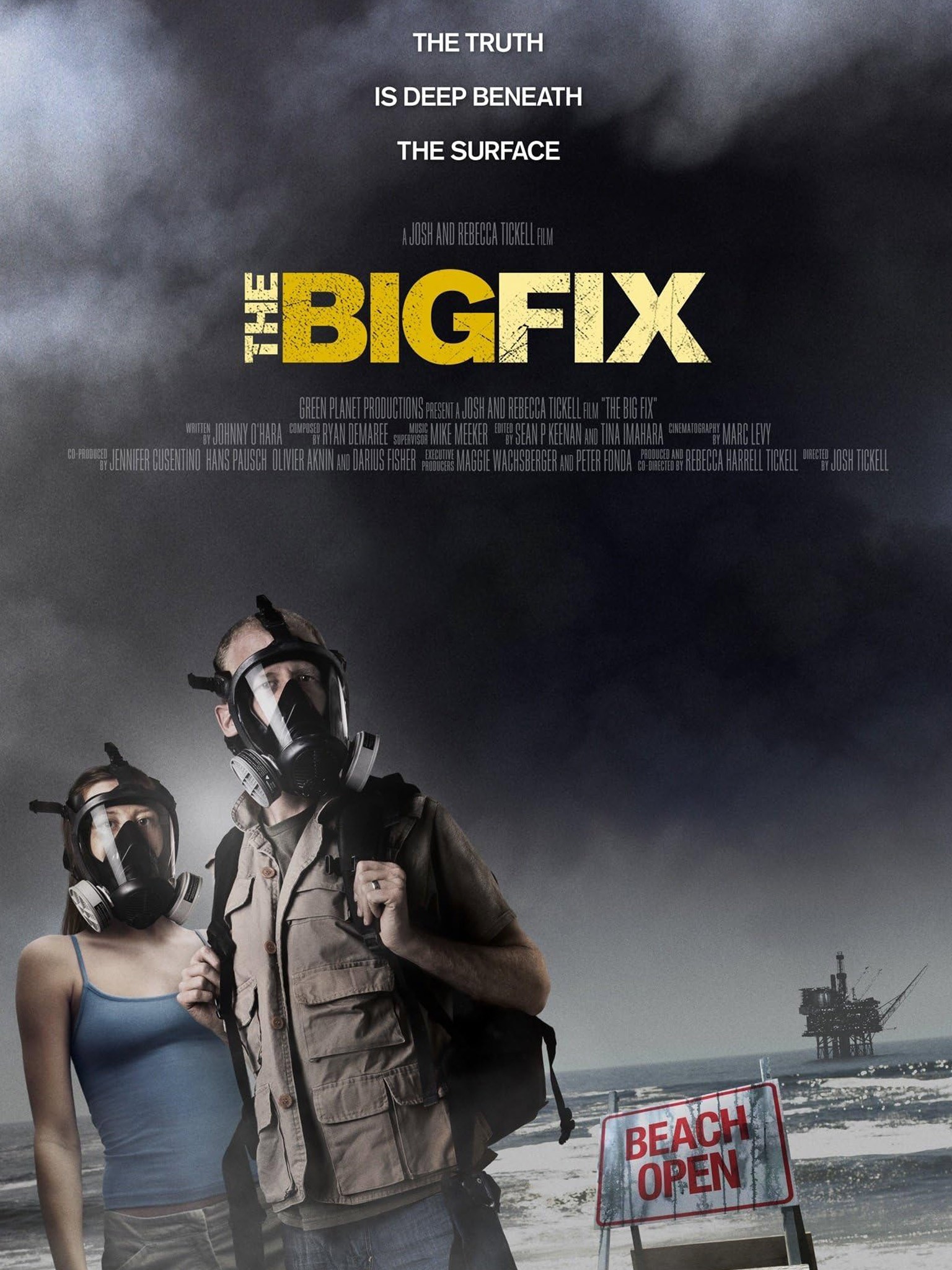 The Big Fix | Rotten Tomatoes