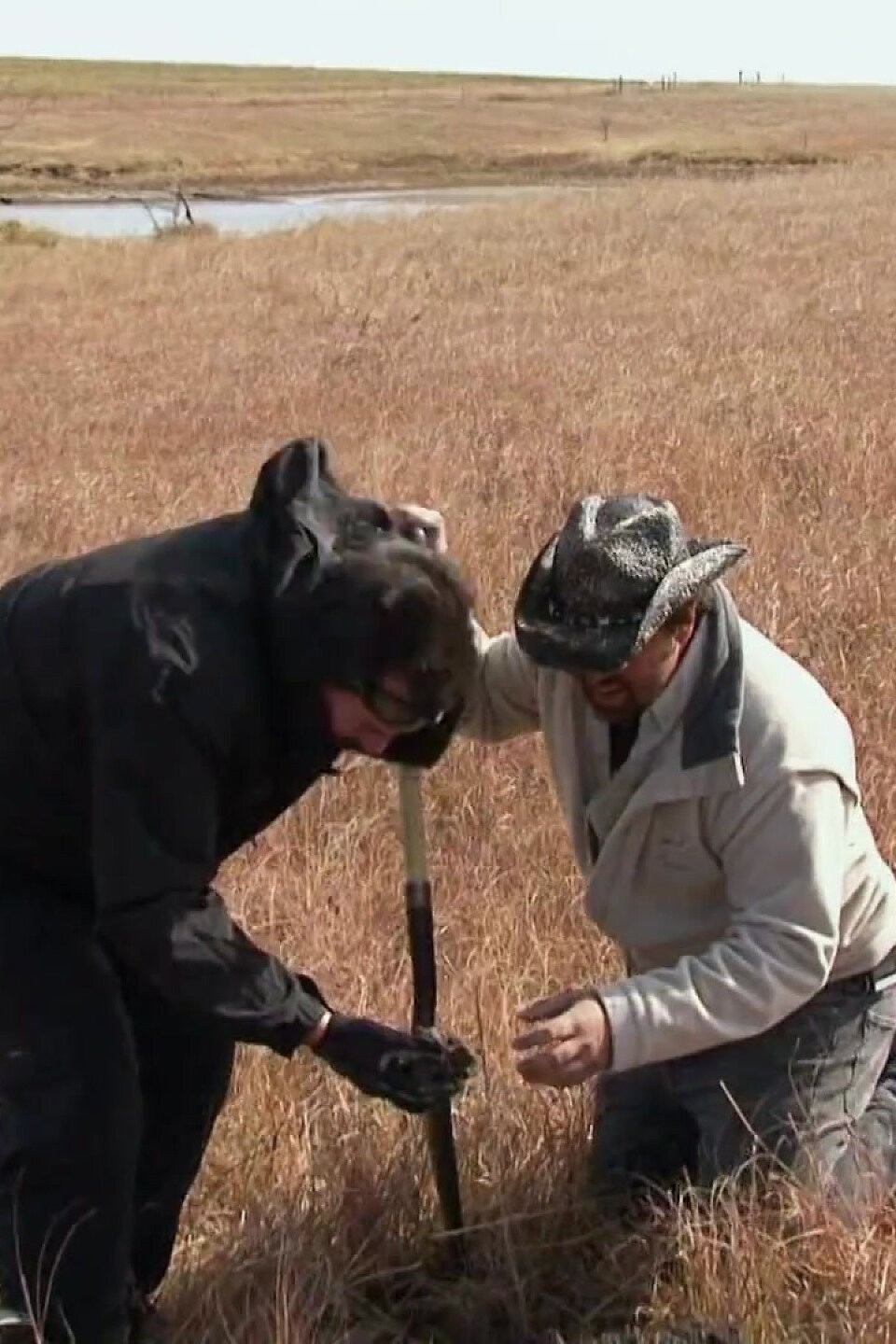 Homestead Pictures | Rotten Tomatoes