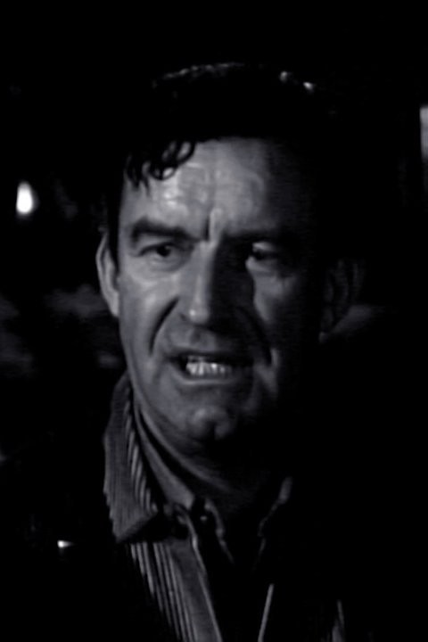 The Rebirth Pictures | Rotten Tomatoes