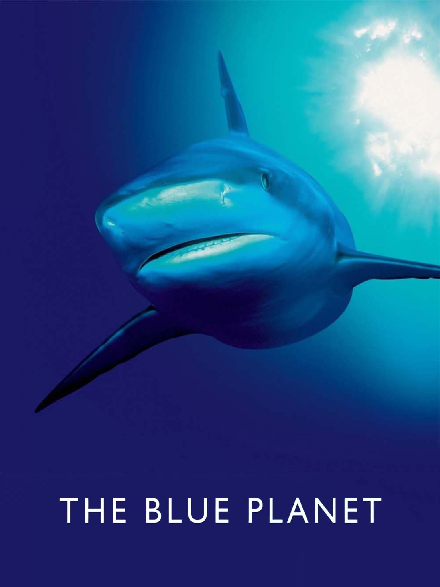The Blue Planet Season 1 | Rotten Tomatoes
