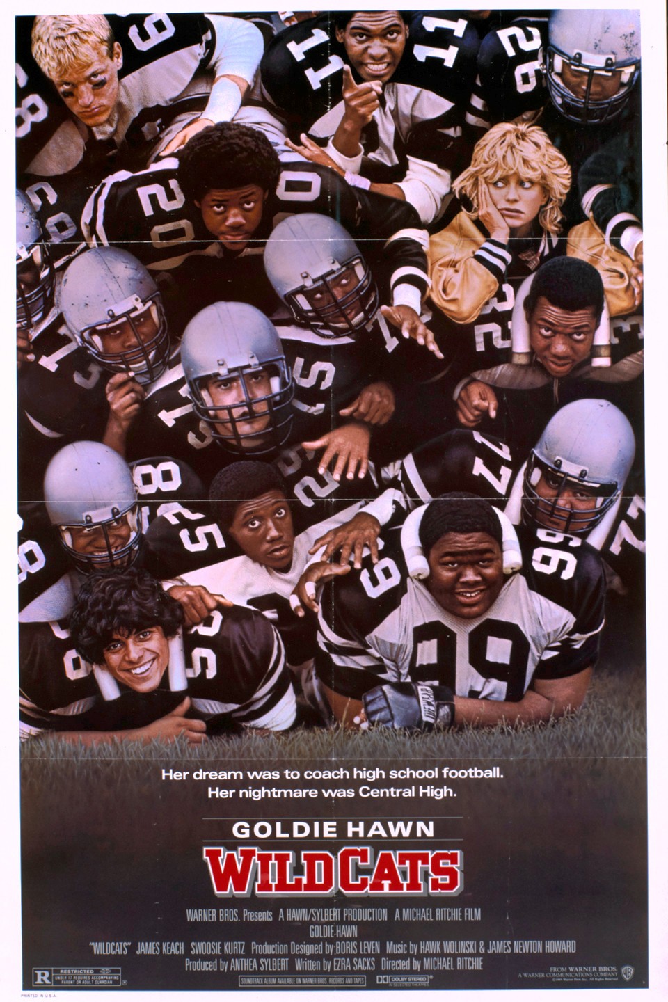 Wildcats | Rotten Tomatoes