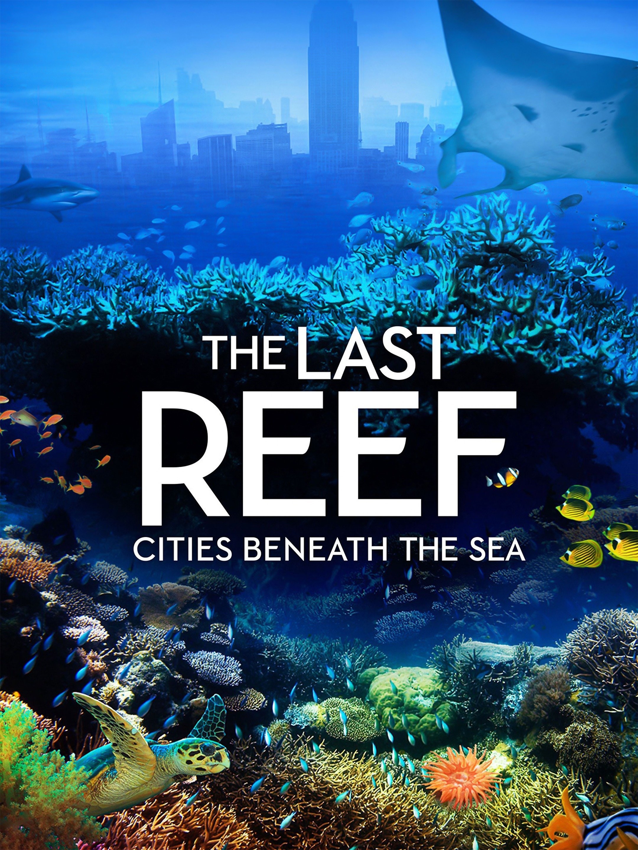 The Last Reef: Cities Beneath the Sea Pictures | Rotten Tomatoes