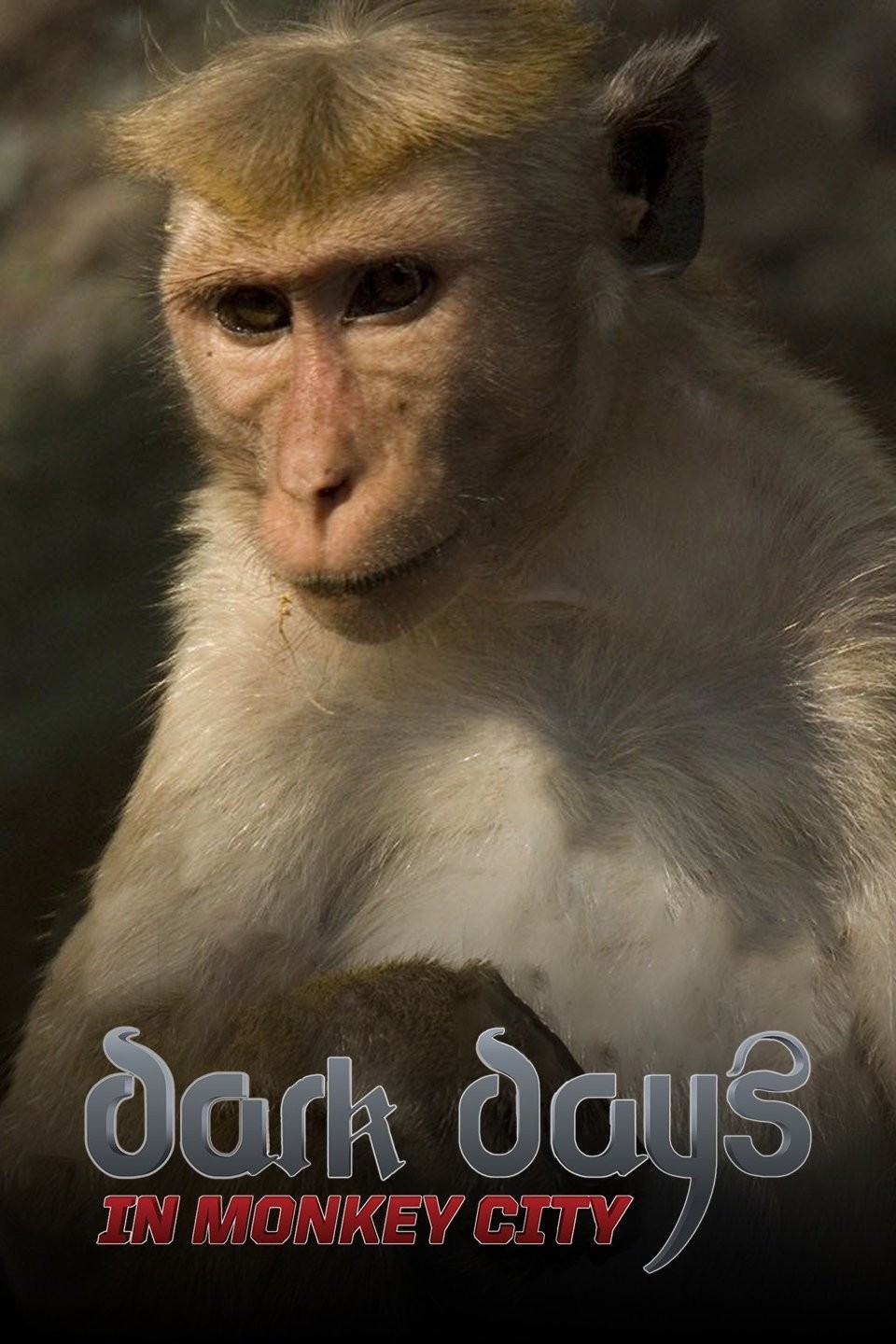 Dark Days in Monkey City Season 1 | Rotten Tomatoes