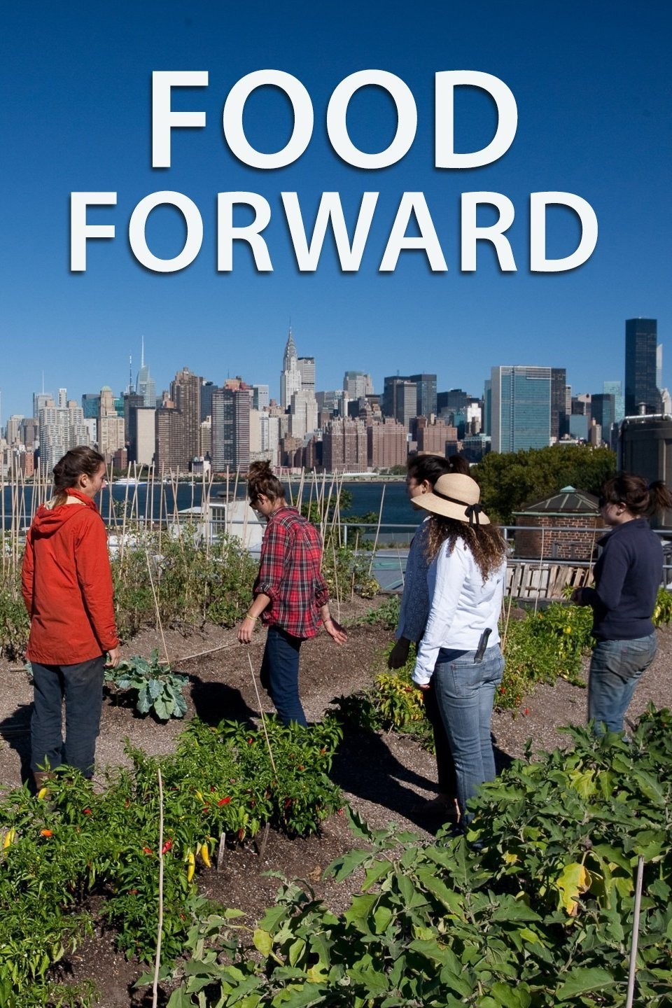 Food Forward | Rotten Tomatoes