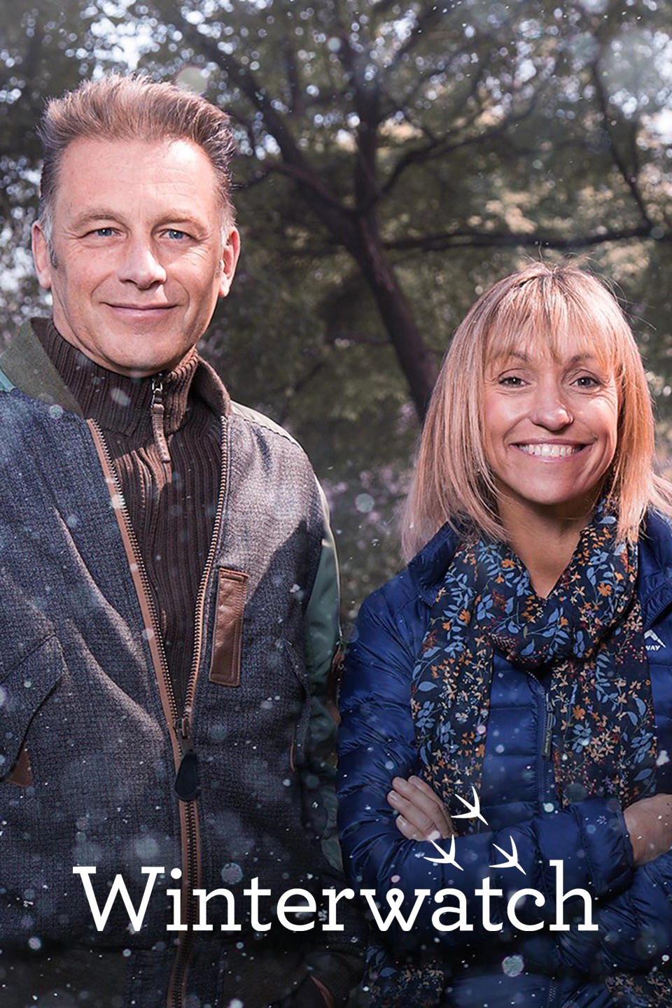 Winterwatch Pictures | Rotten Tomatoes