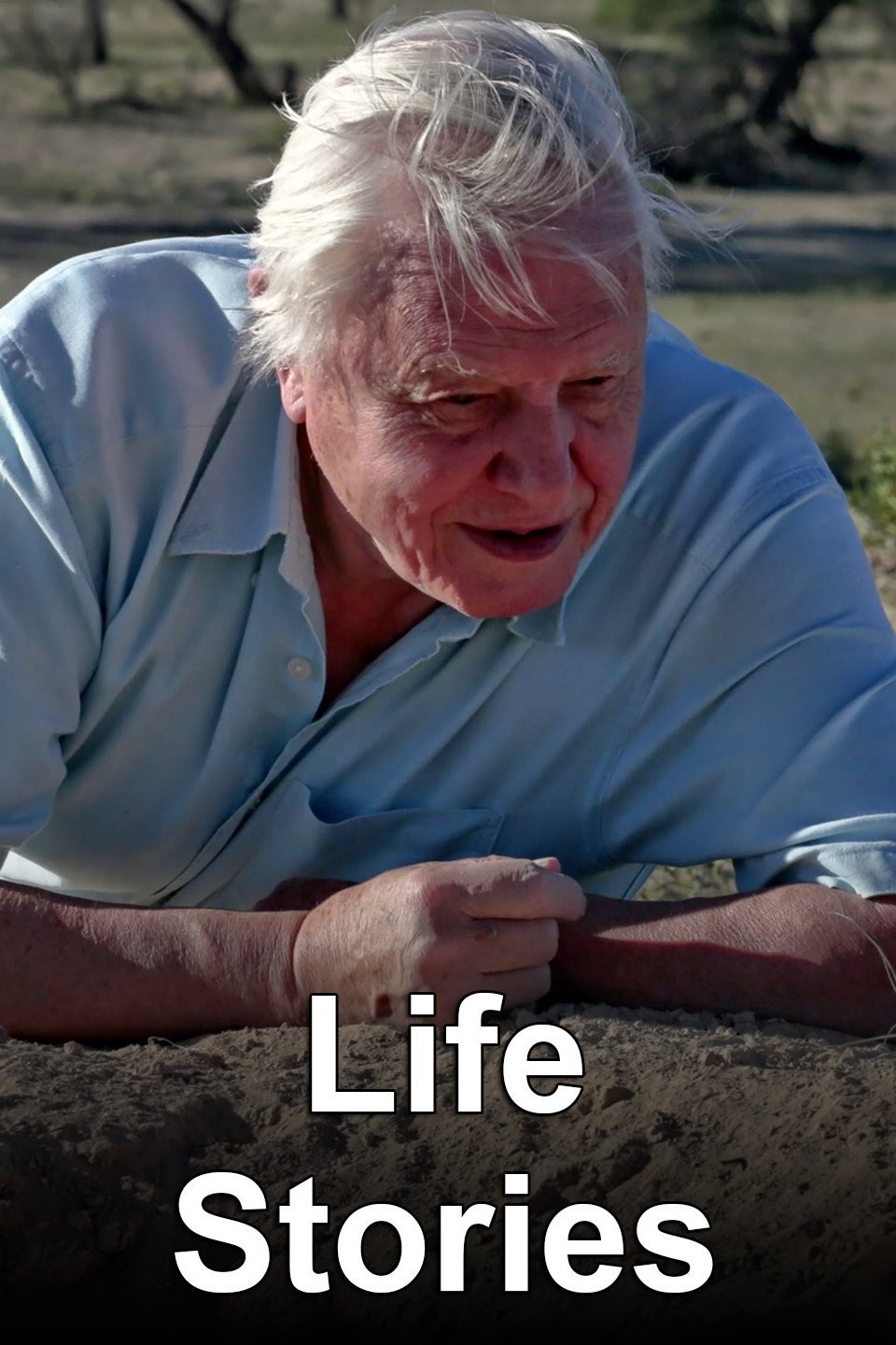 Life Stories Pictures | Rotten Tomatoes